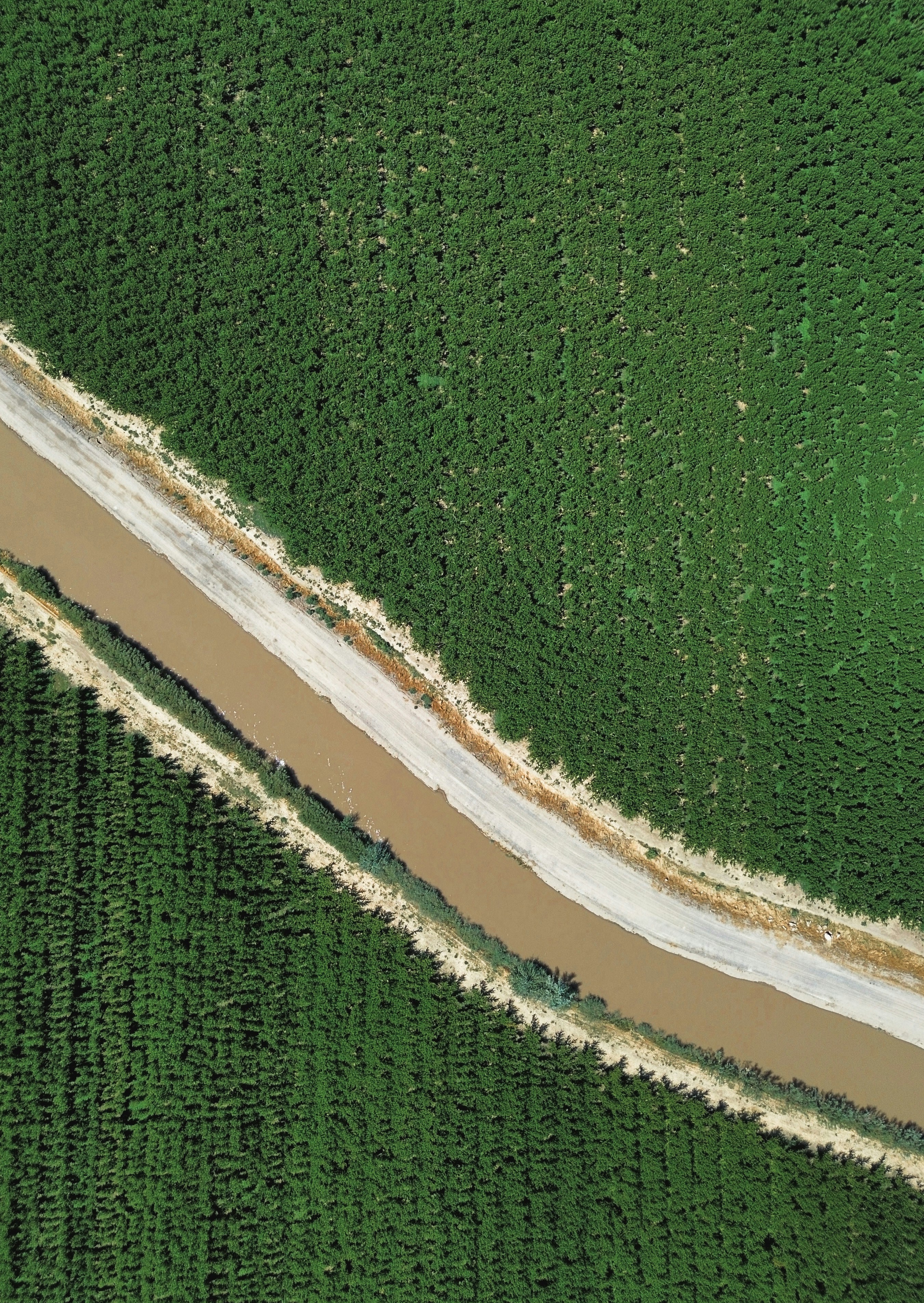 Aerial drone photograph of a muddy river cutting diagonally through dense green forest, with pale sandy banks along its edges. The composition emphasizes the contrast between water, shoreline, and foliage.