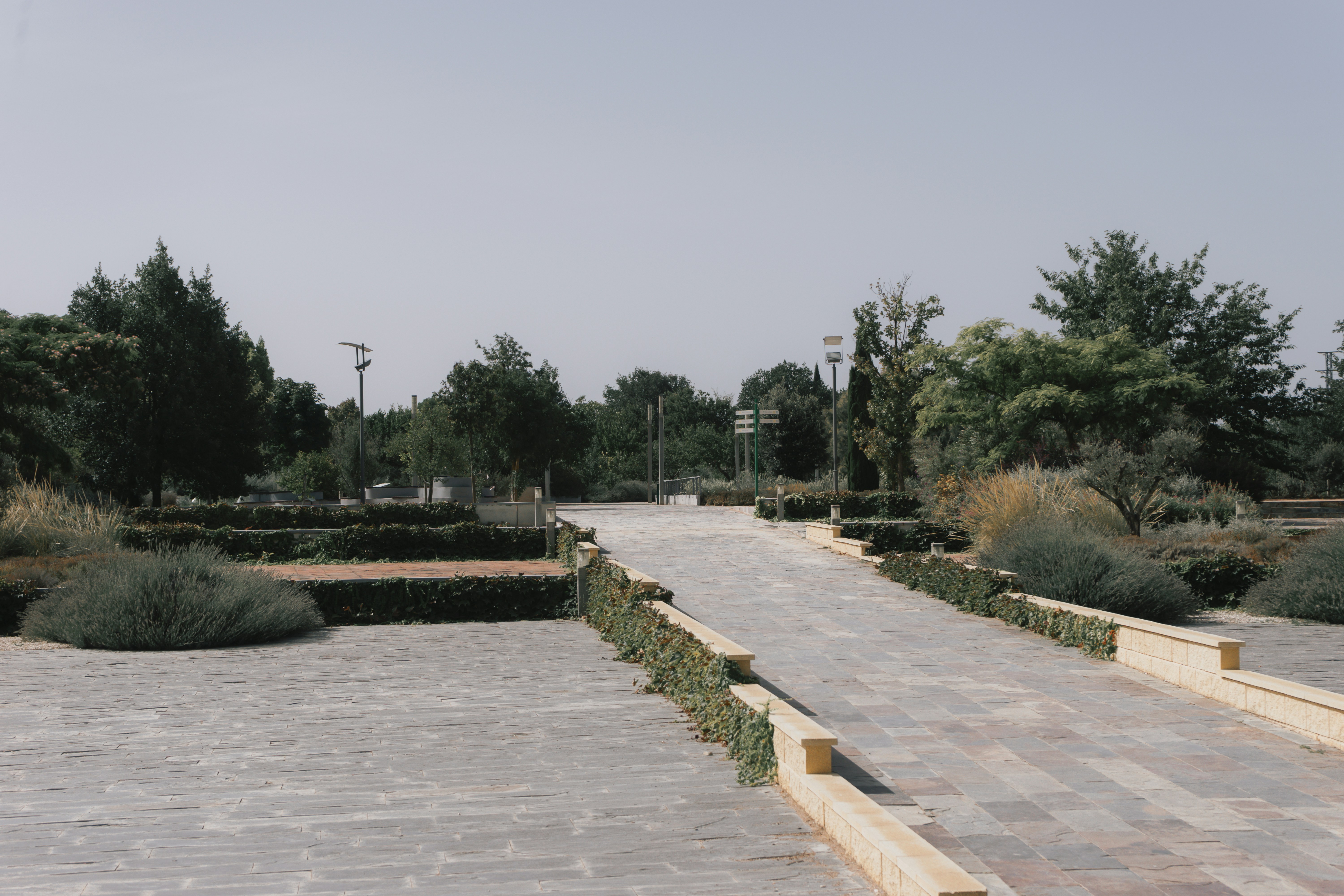 A paved walkway in a park surrounded by trees photo – Free Plant Image ...