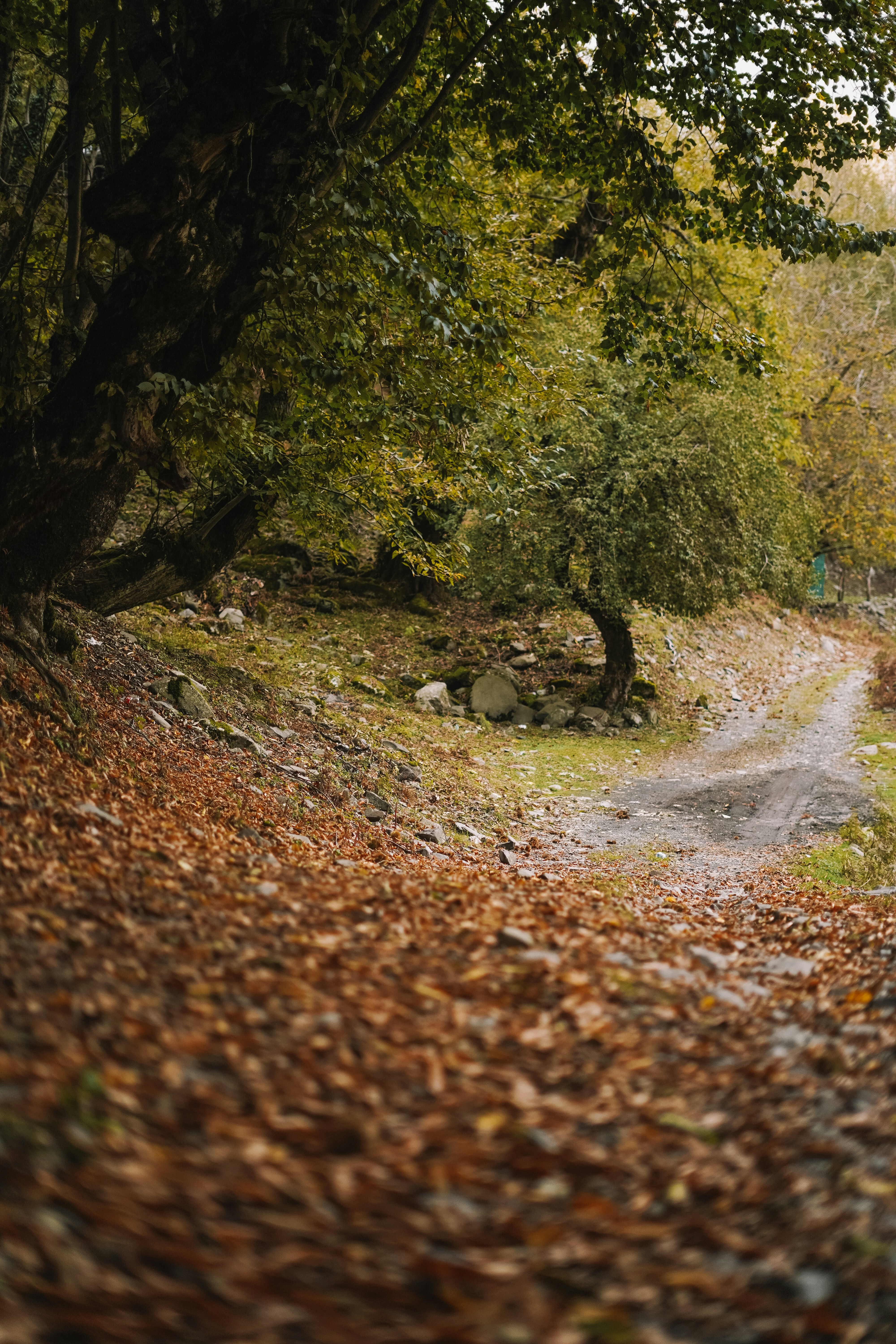 Qazax, Azerbaijan - all you need to know