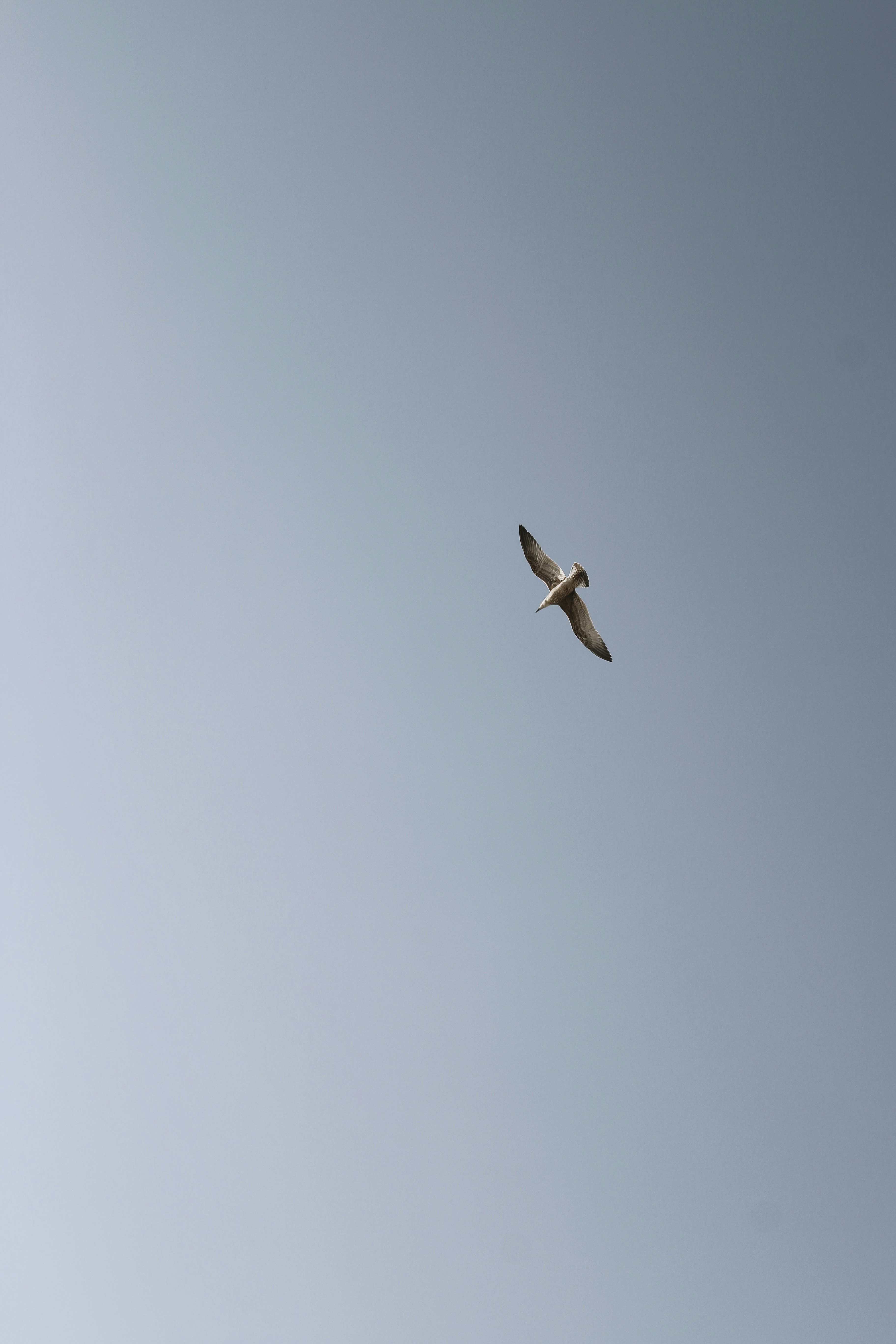 Photo by Ovidiu with Canon EOS 70D