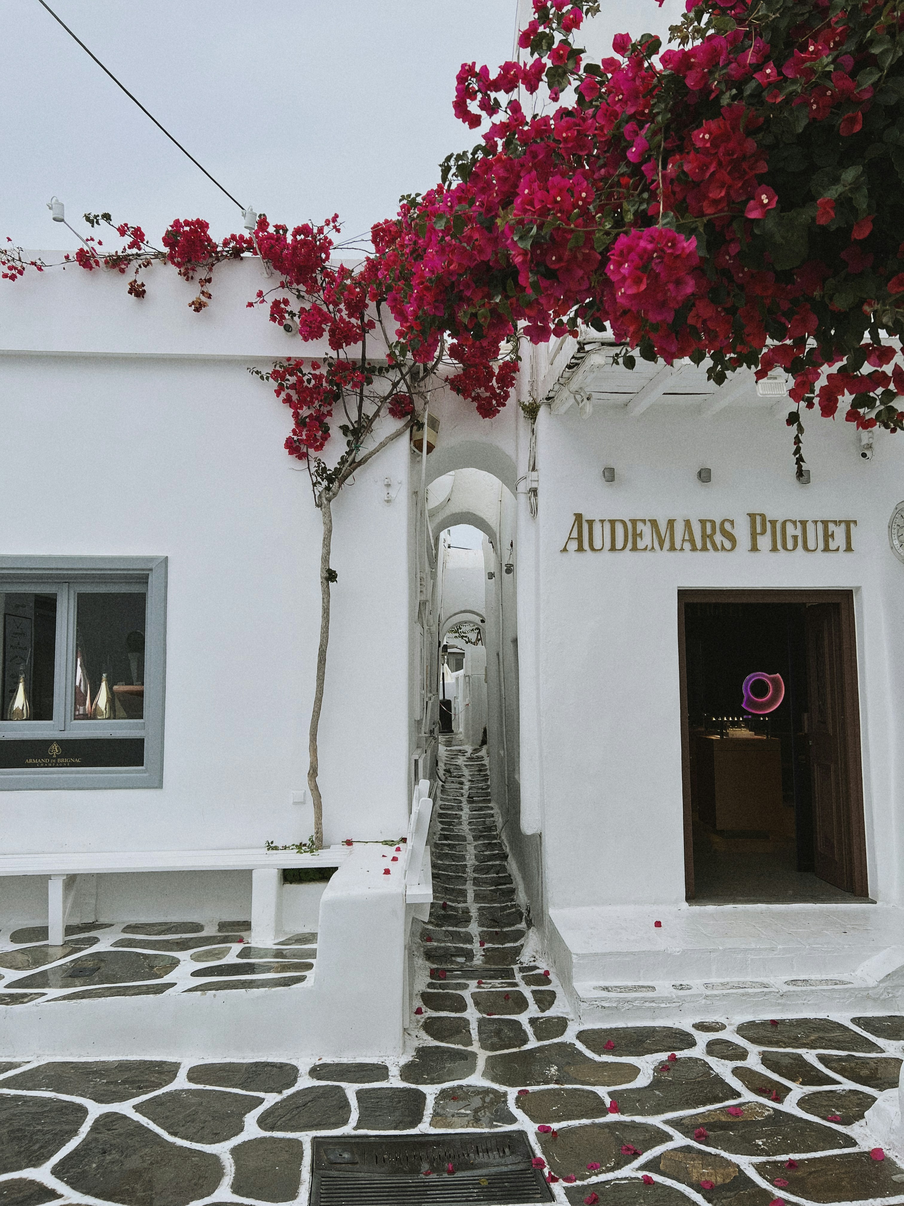 Arched Cycladic Alley Framed by Fuchsia Bougainvillea