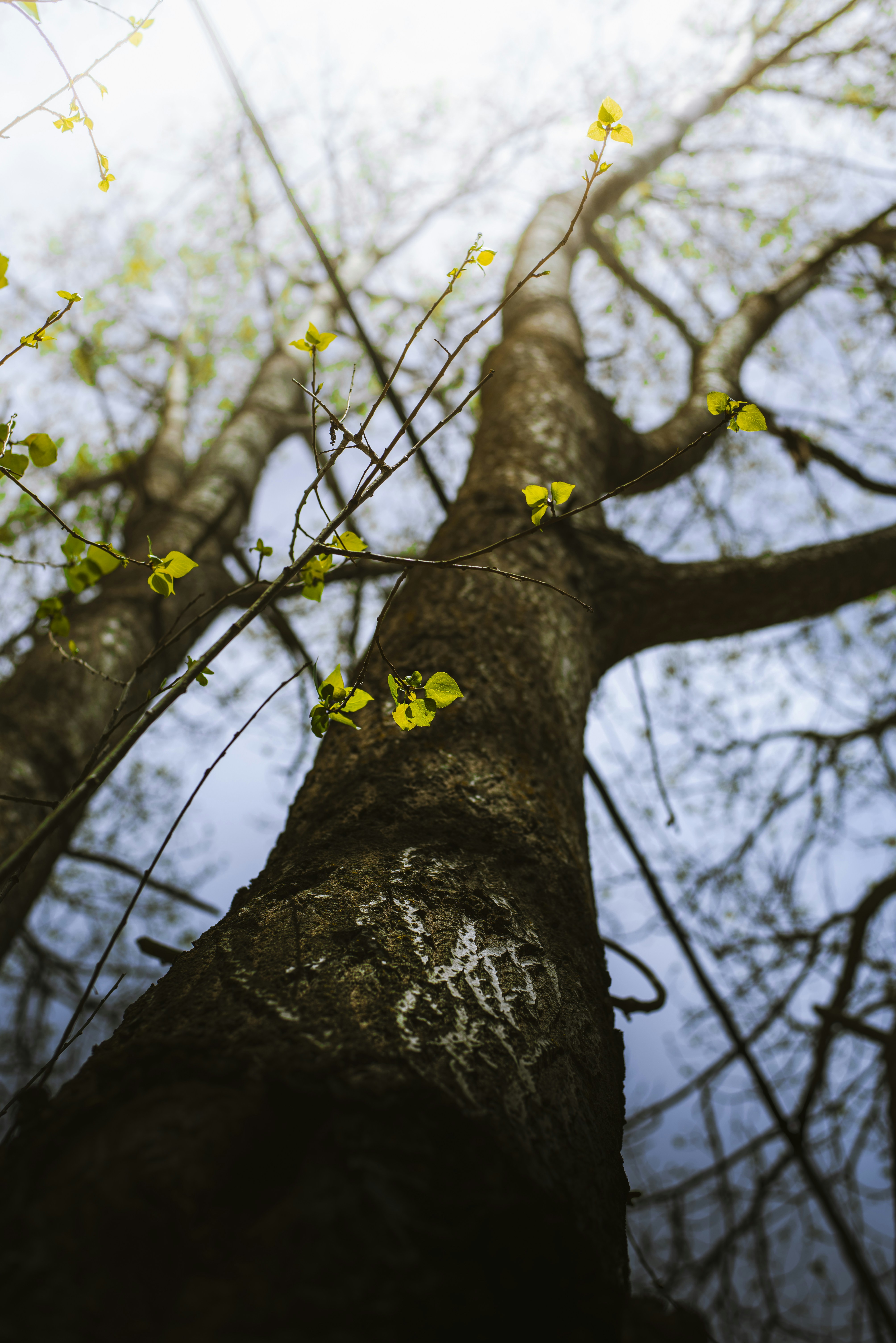 1000+ Nature Scene Pictures | Download Free Images on Unsplash