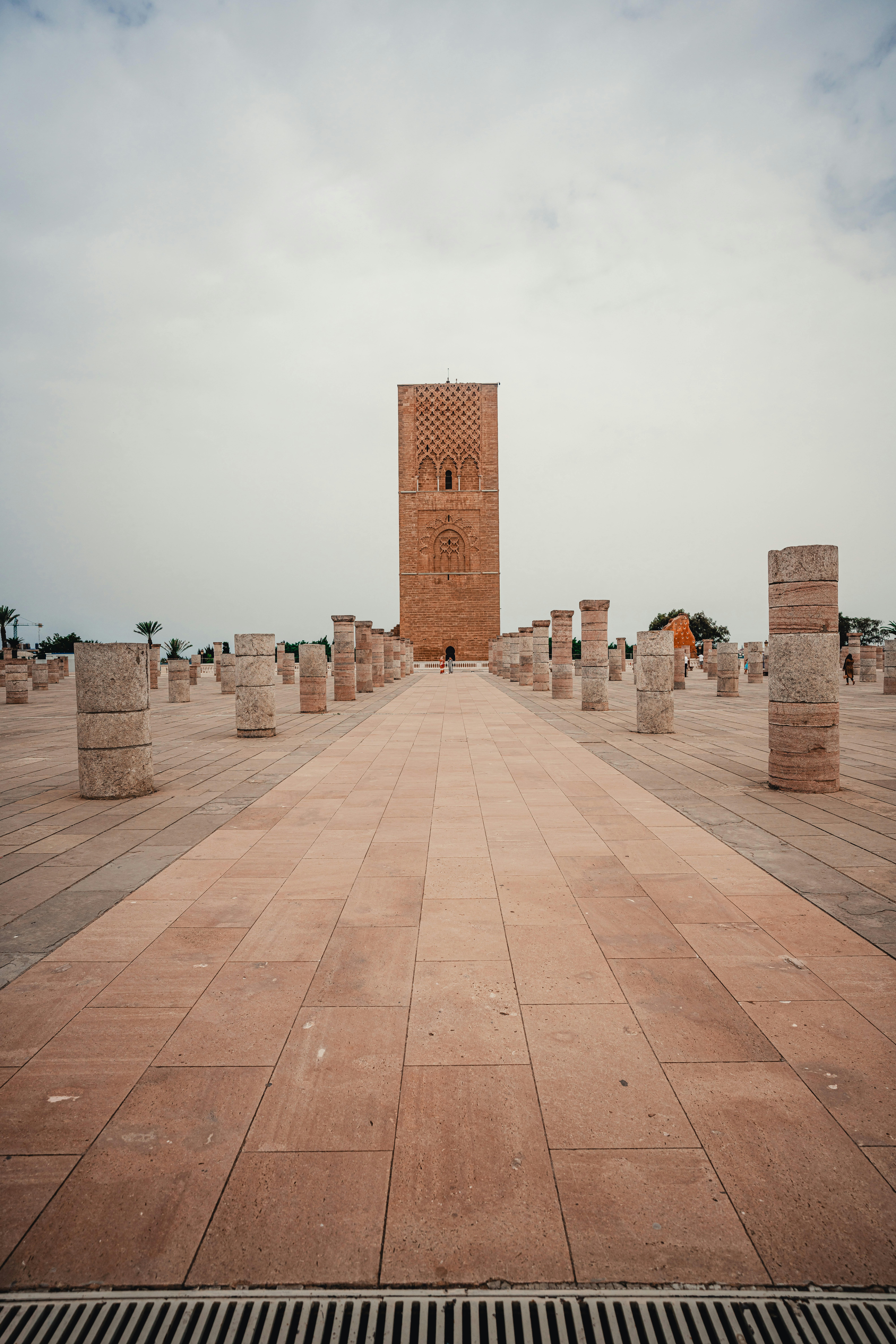 Photo by Mauro Lima with Sony Alpha 7R V