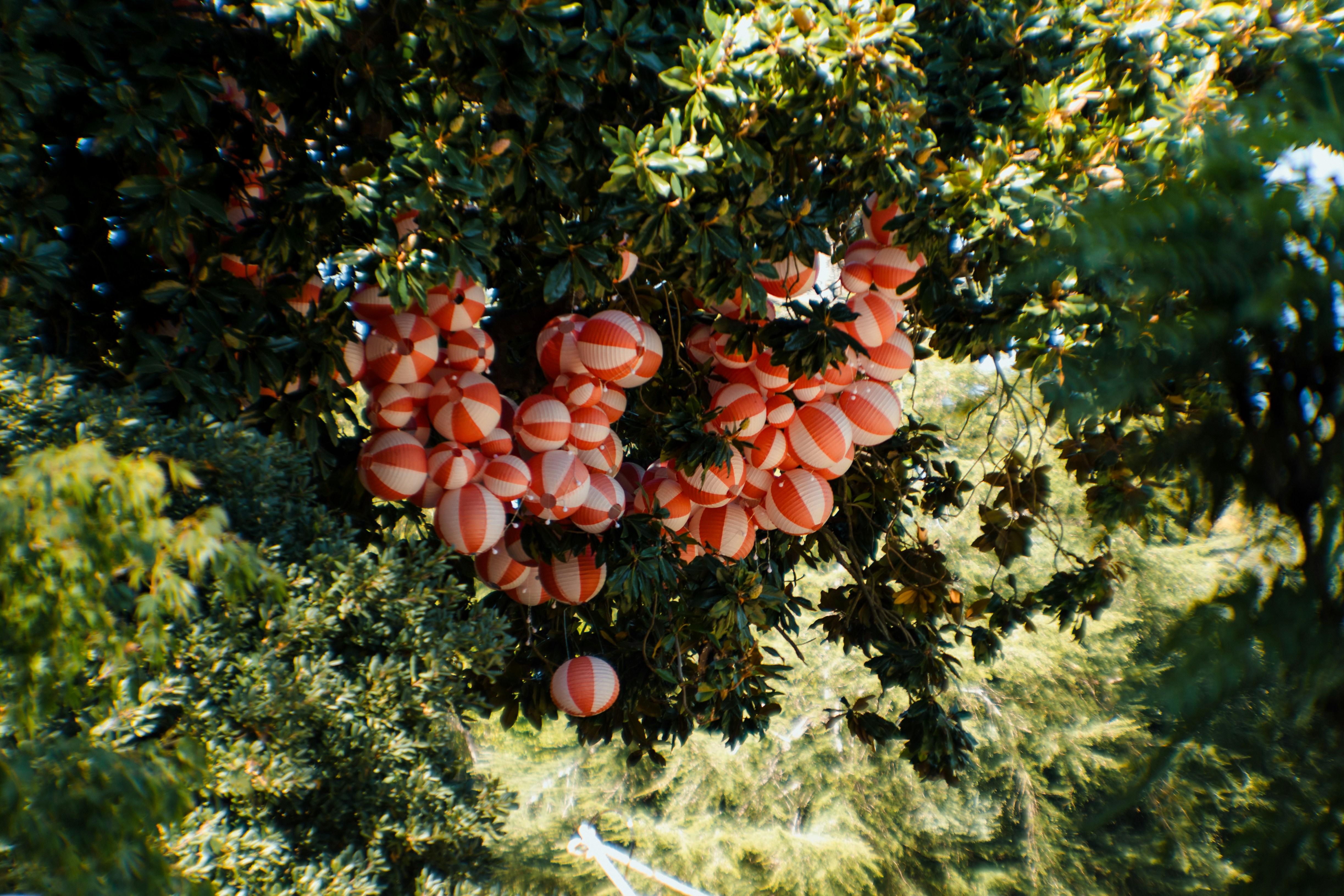 Photo by Jason Leung with Canon EOS R6