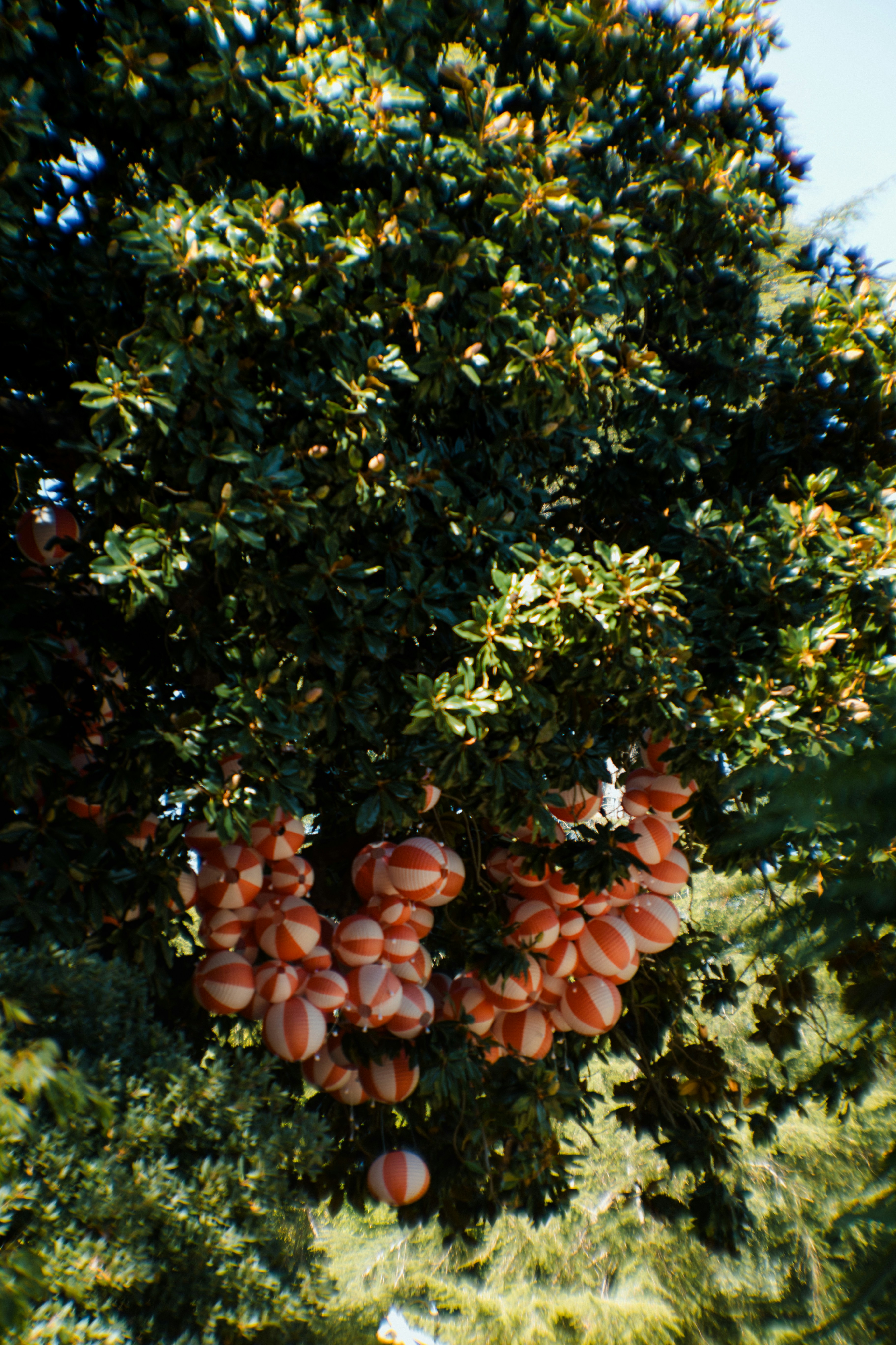 Photo by Jason Leung with Canon EOS R6