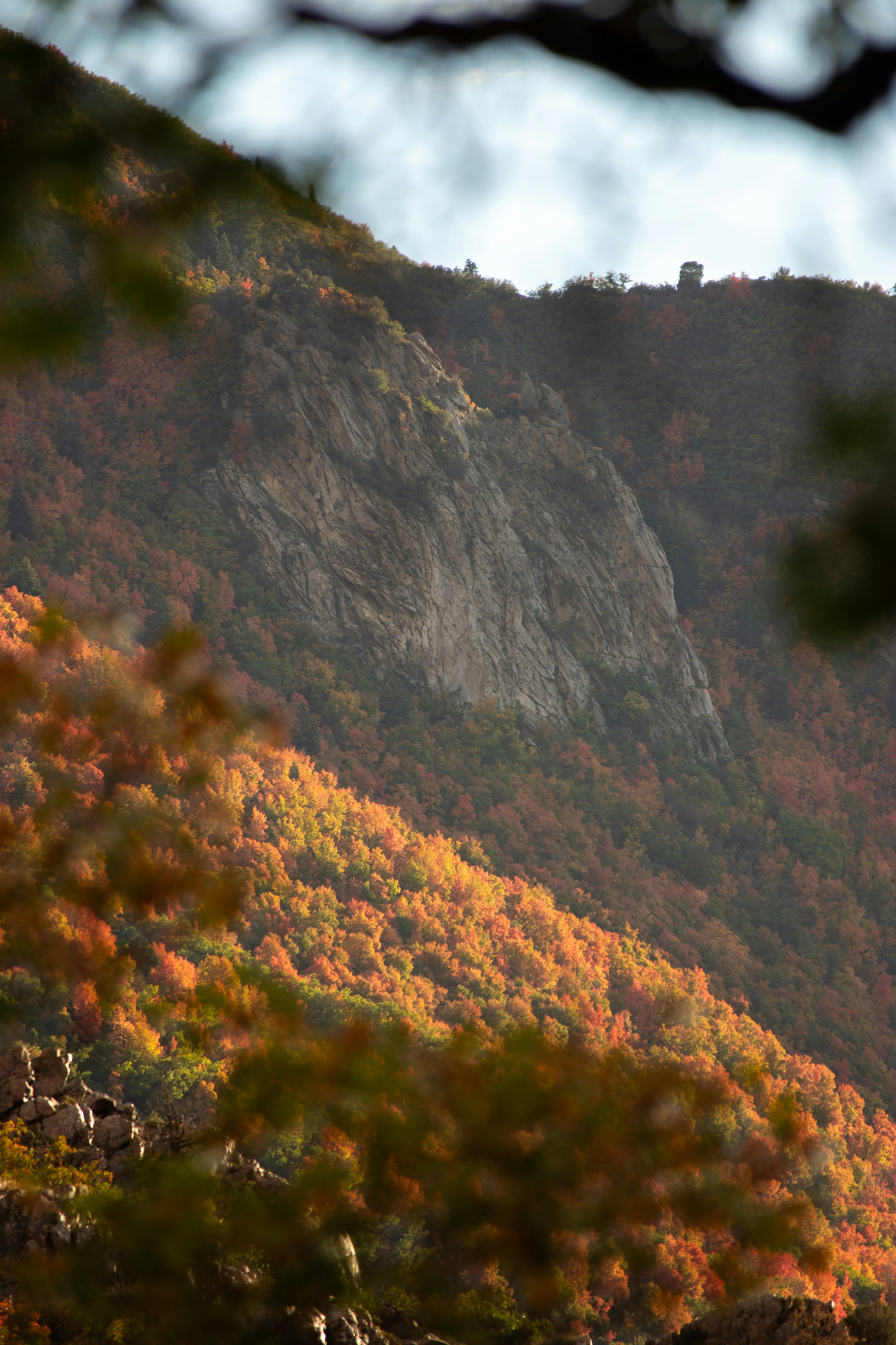 Autumn Cliffscape: A Framed Rock Face Amid Golden Trees