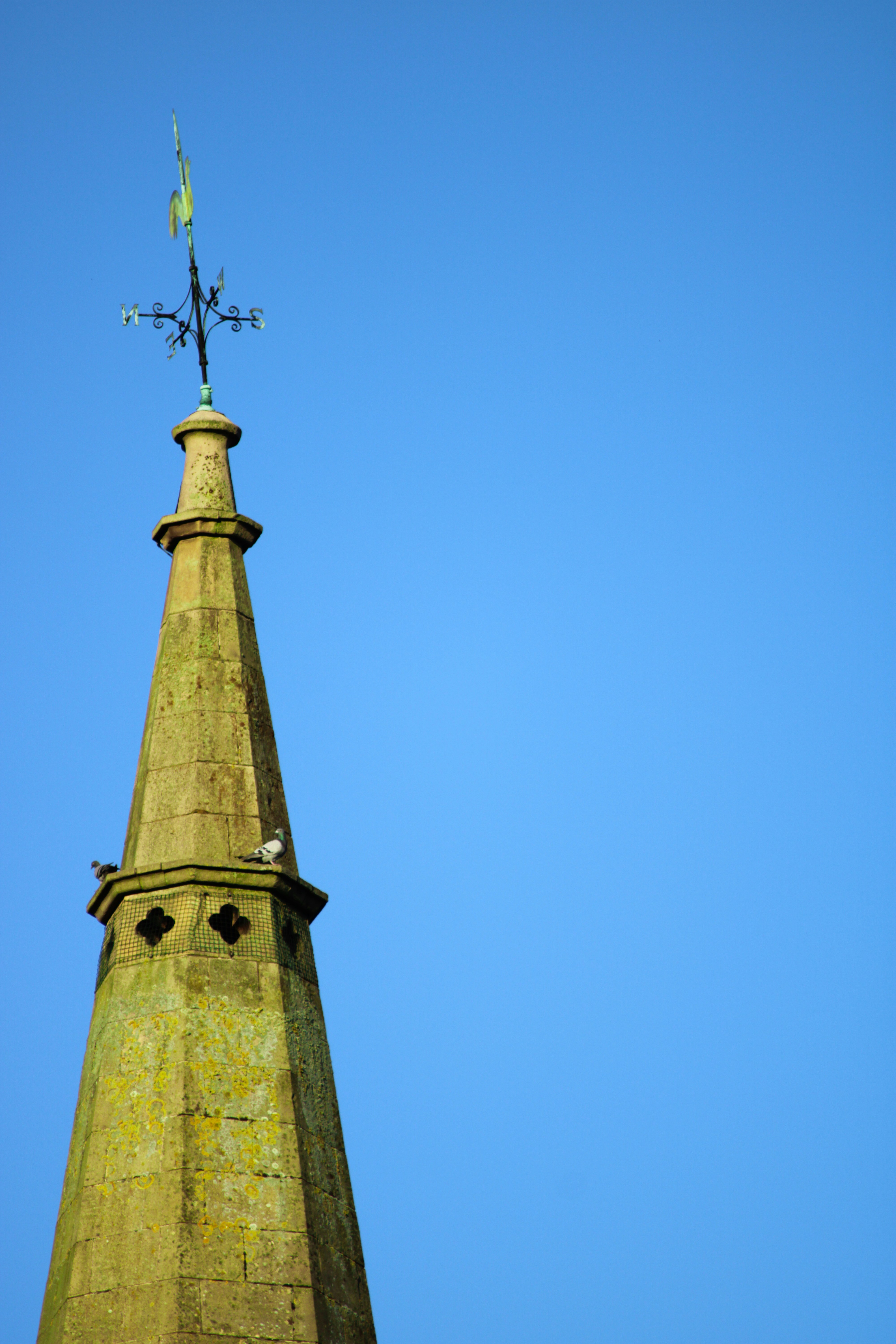 Photo by Mark Stuckey with Canon EOS 2000D