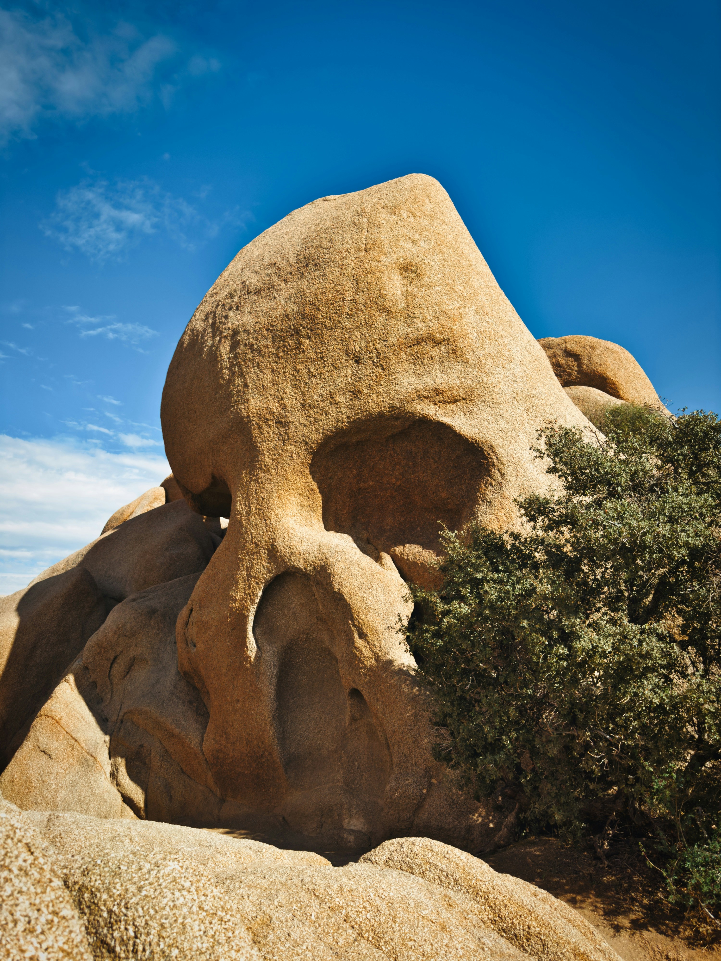 Weathered Granite Face with Desert Sage