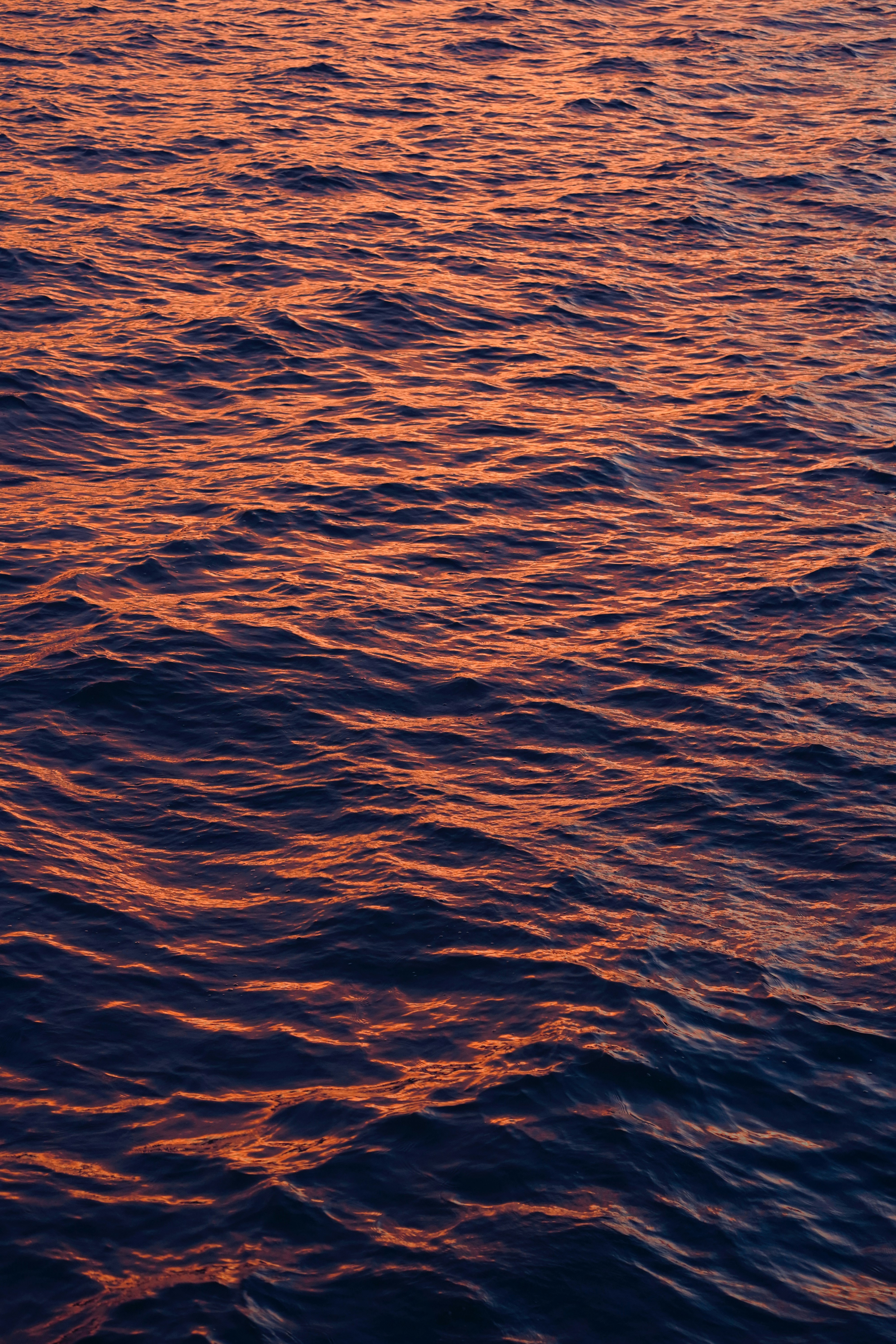 The sea in the sunset light.