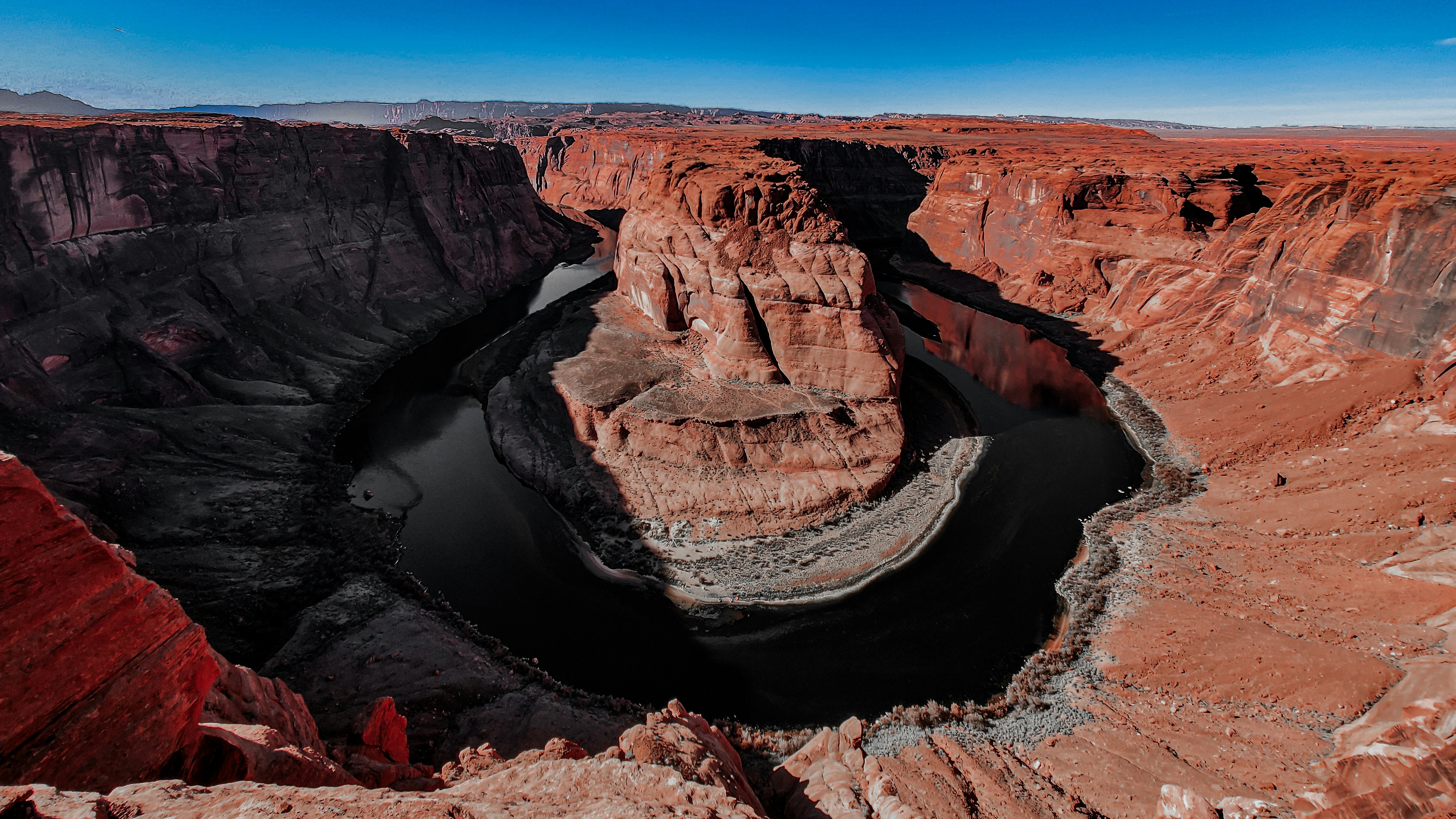 The Serpent's Embrace: Nature's Masterpiece