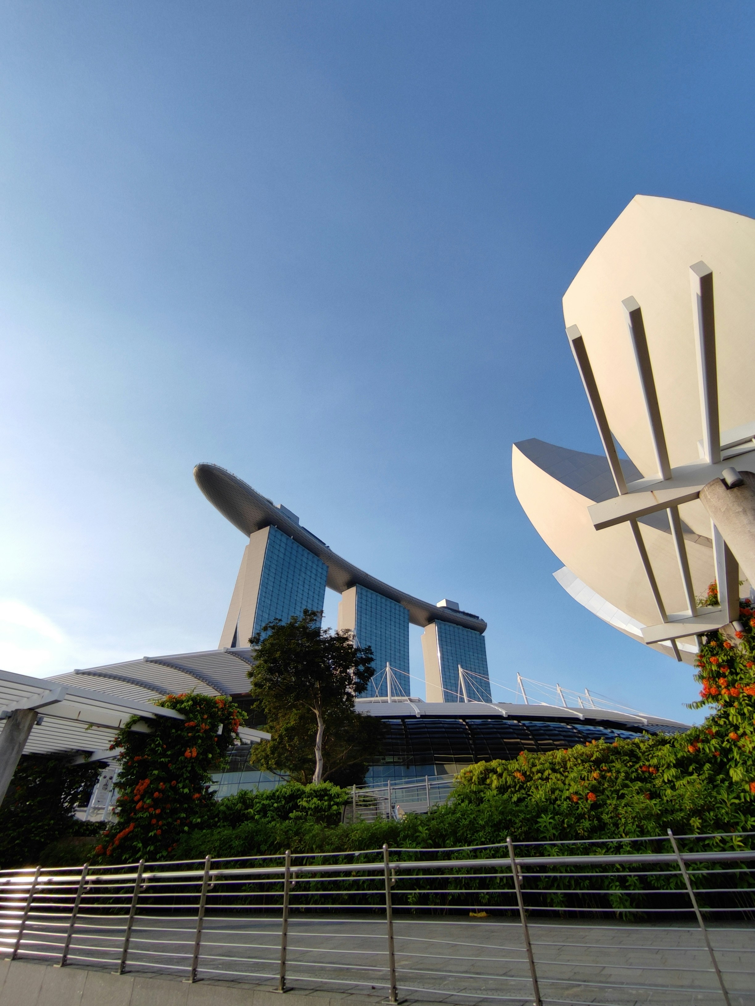 A view of a building from the ground photo – Free Bayfront avenue Image ...