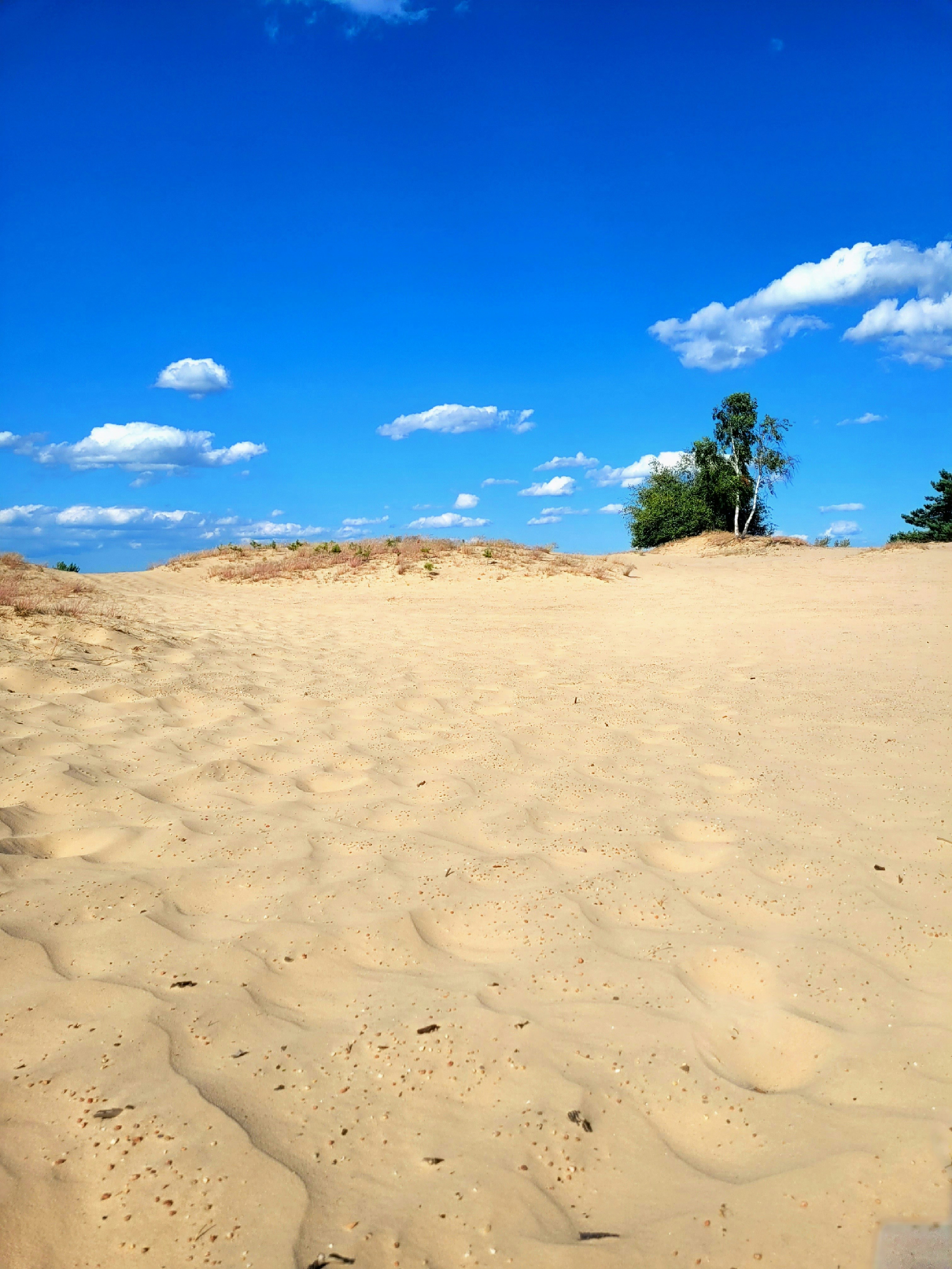 Photo by Ivan Antonenko with Samsung Galaxy S20 FE