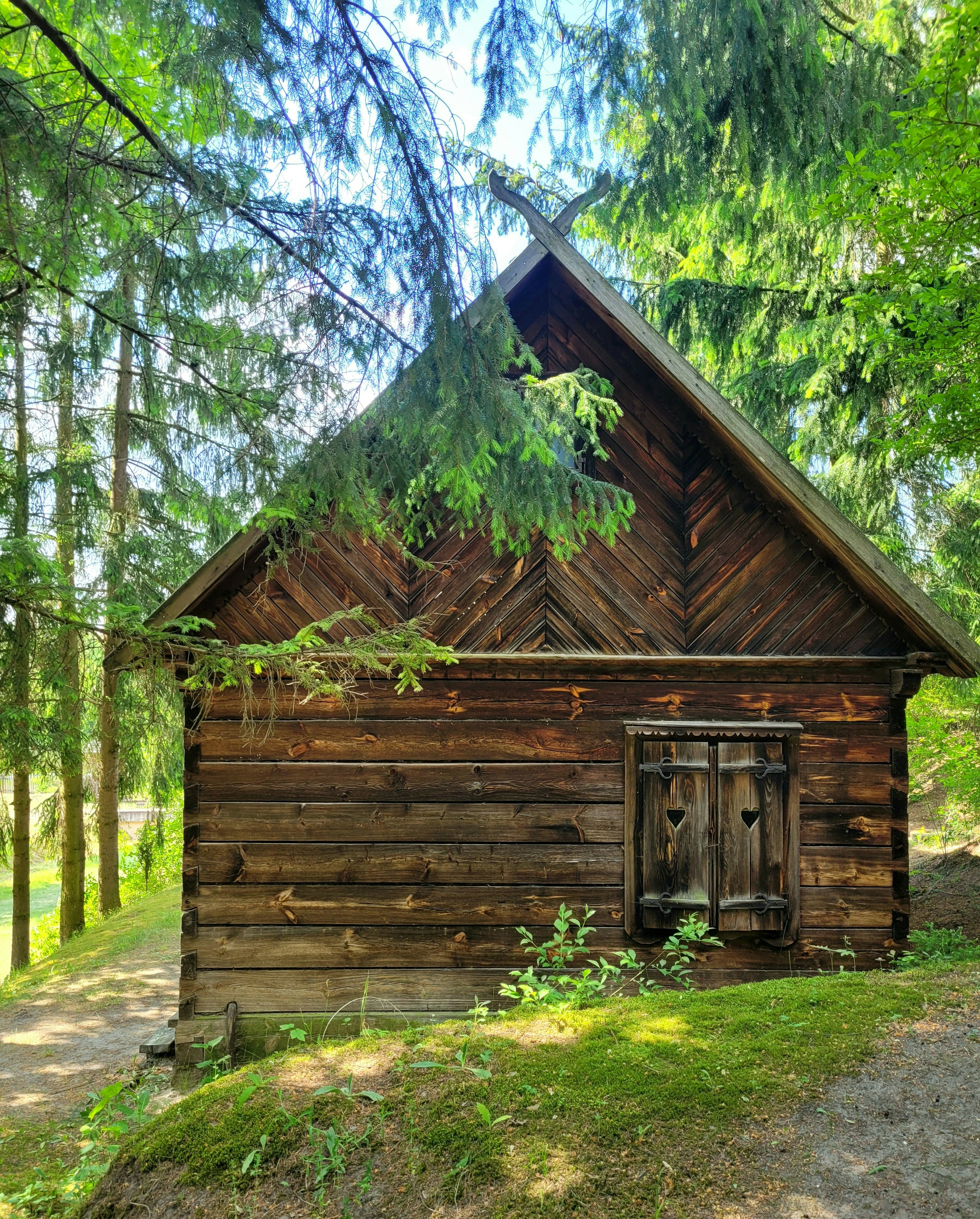 Weathered wooden cabin nestled among towering trees, showcasing intricate architectural details and vibrant greenery.