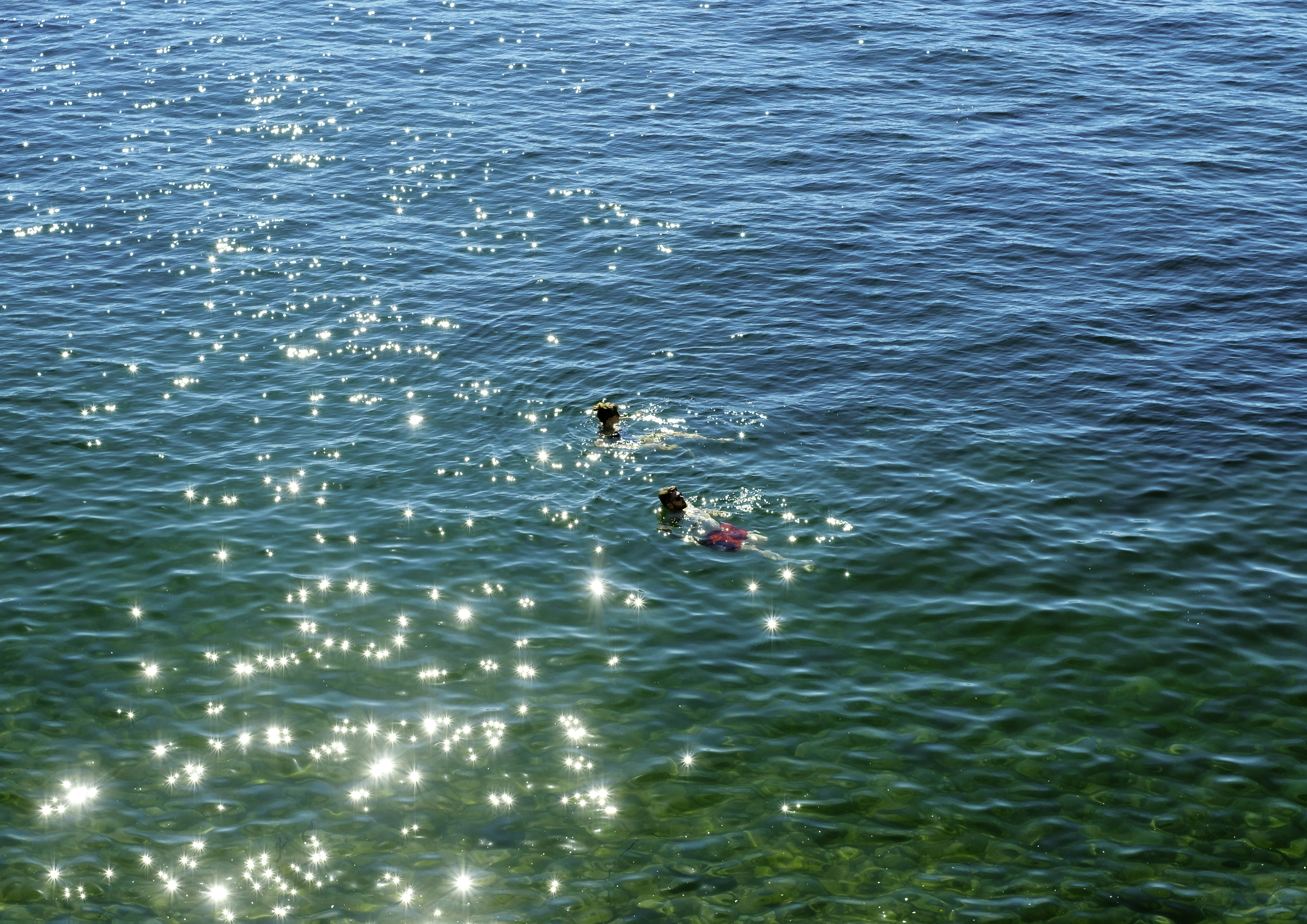 A couple of people swimming in a body of water photo – Free Person ...