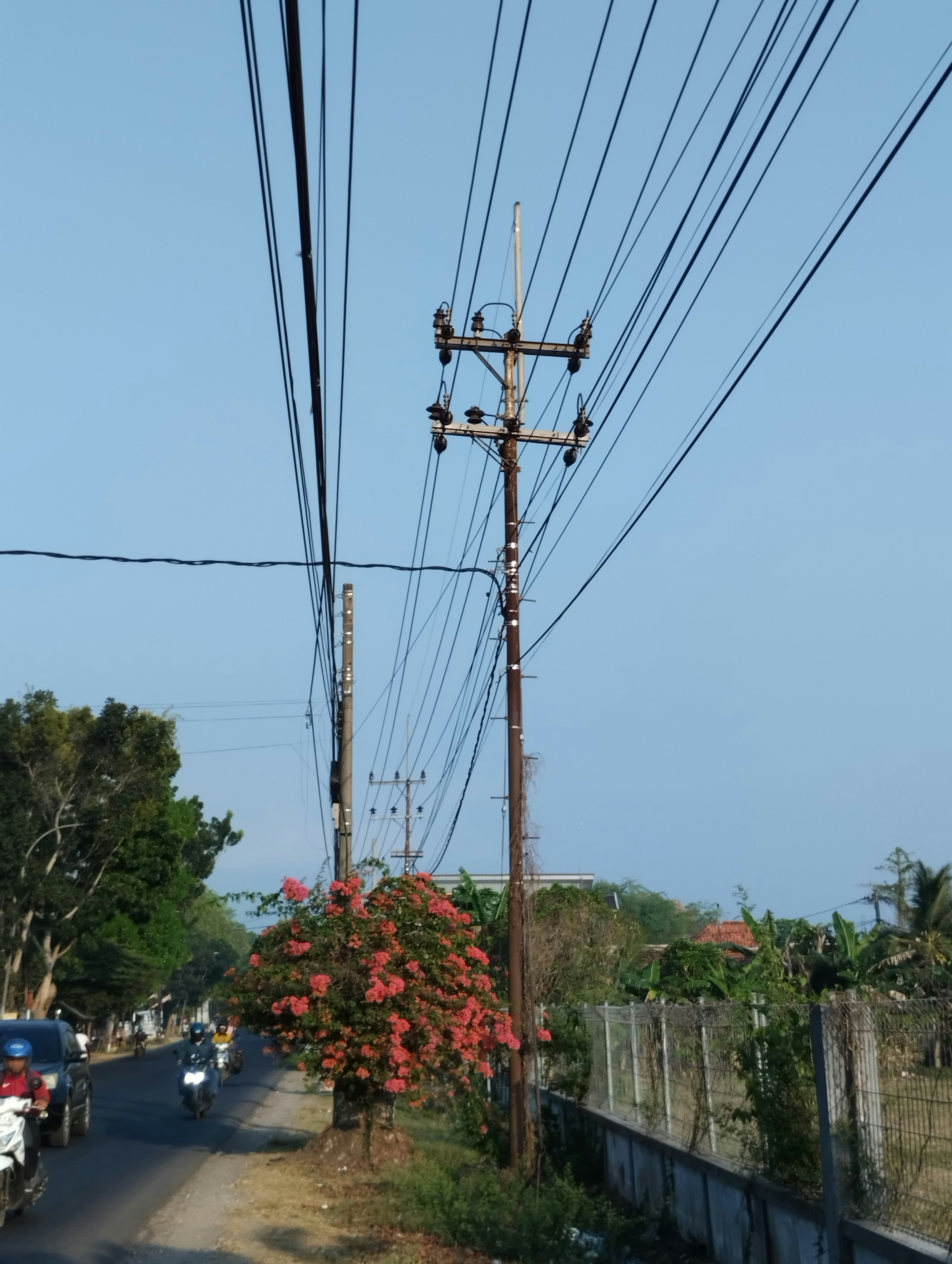 Tall utility pole and overhead wires frame a sunlit rural road, with a pink flowering tree in the foreground and motorbikes visible on the left.