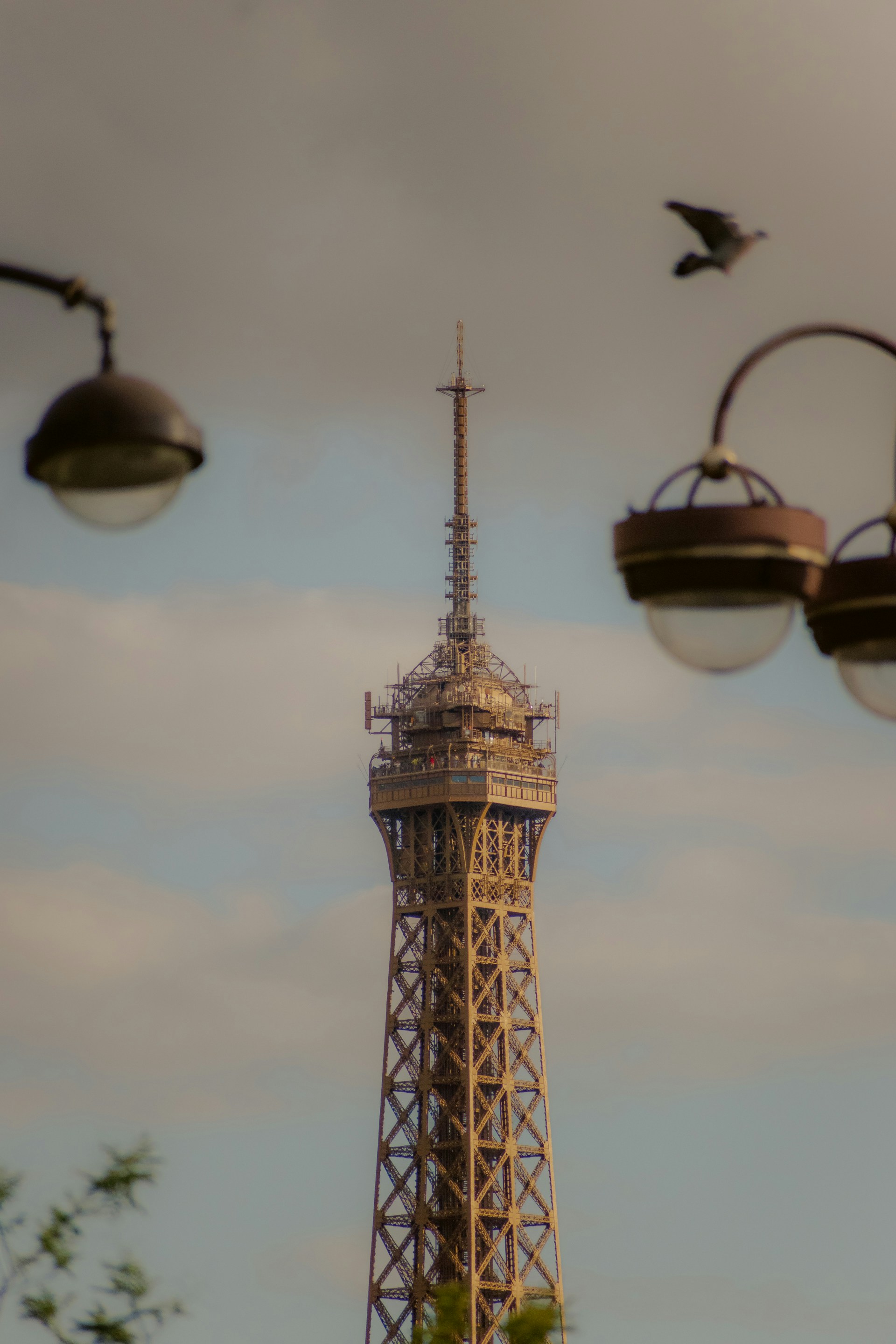 Lattice Spire Framed by Lanterns and a Bird in Flight