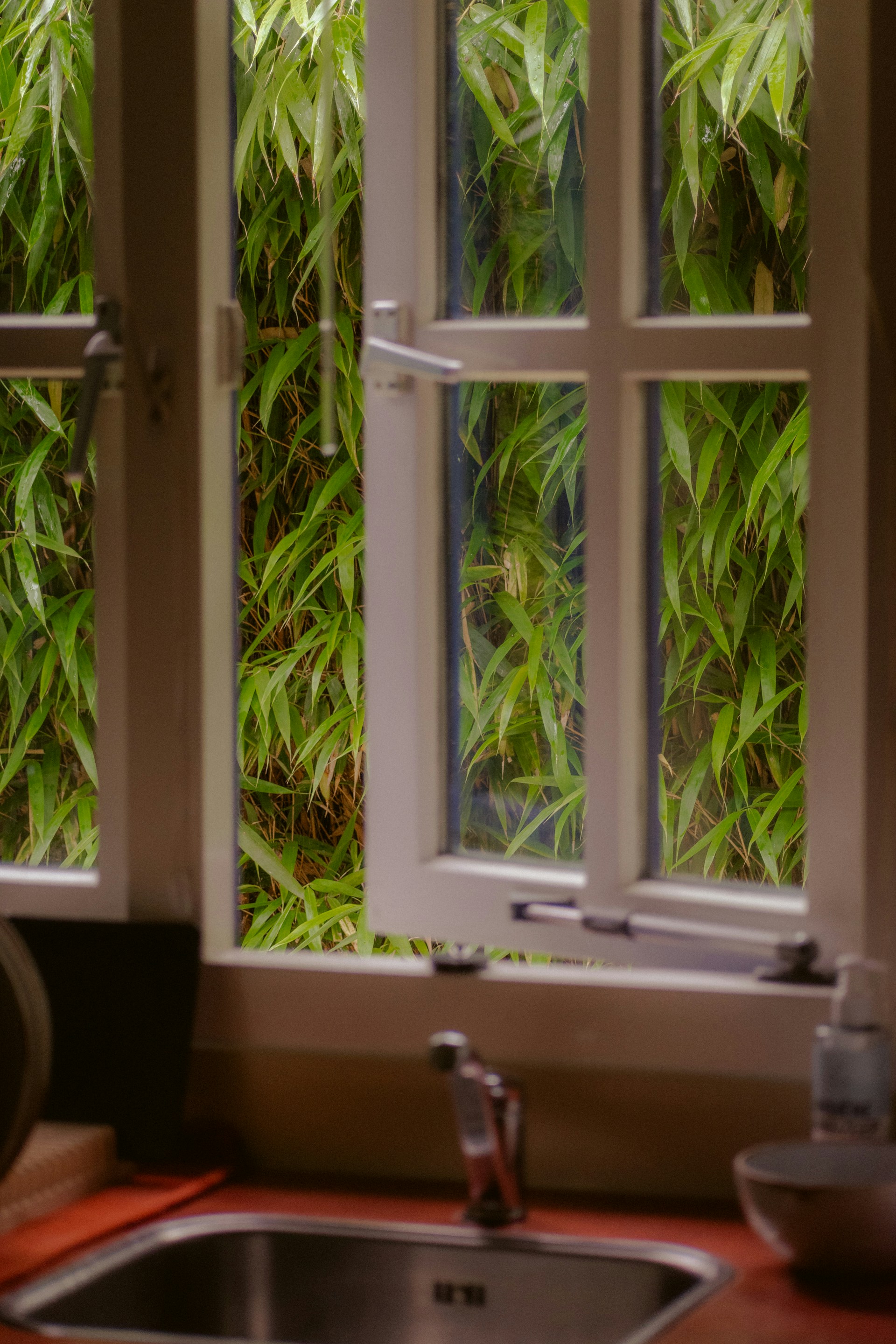 Lush bamboo leaves seen through open windows, creating a serene indoor-outdoor connection.