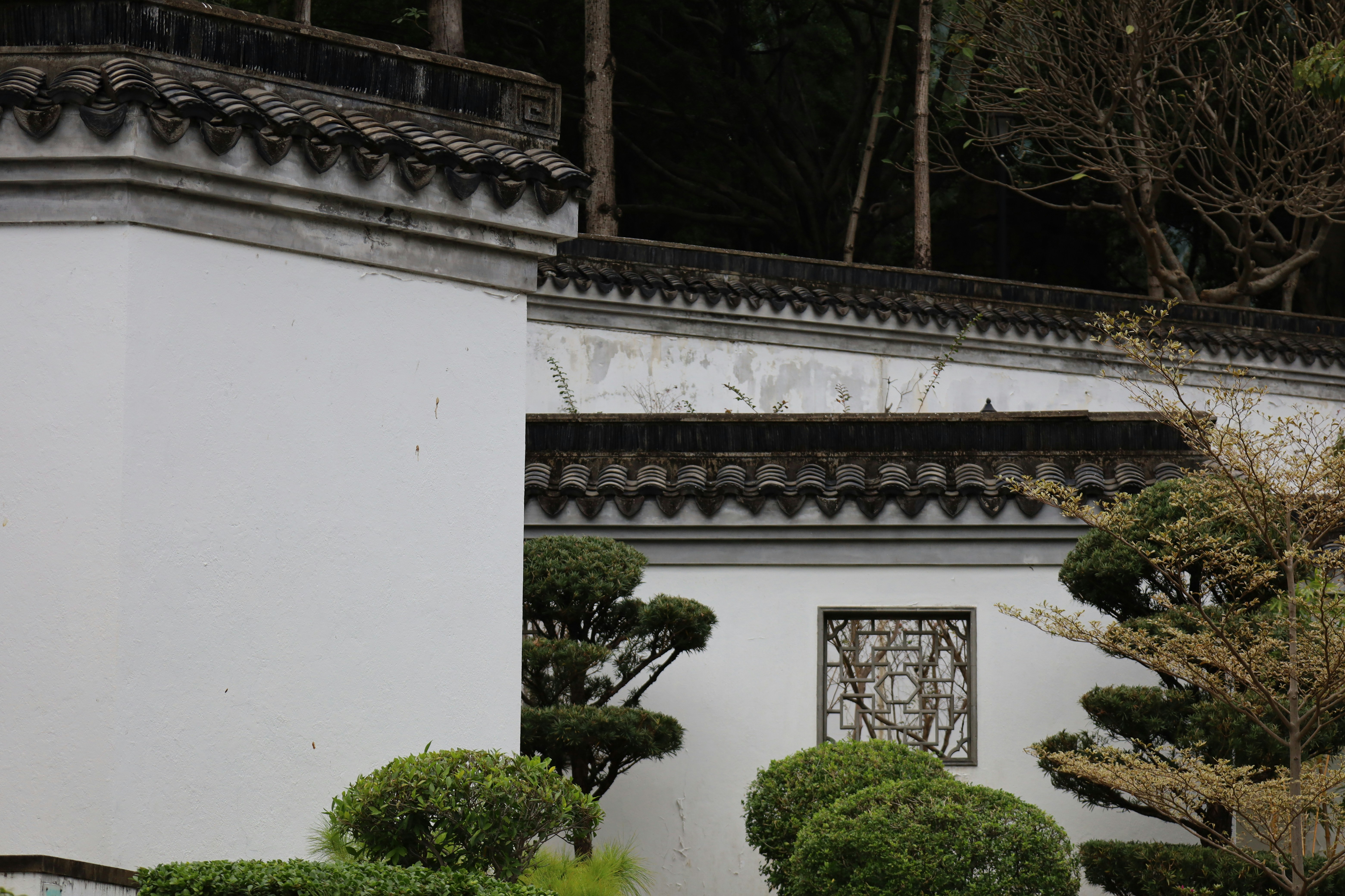 Harmony of Nature and Architecture