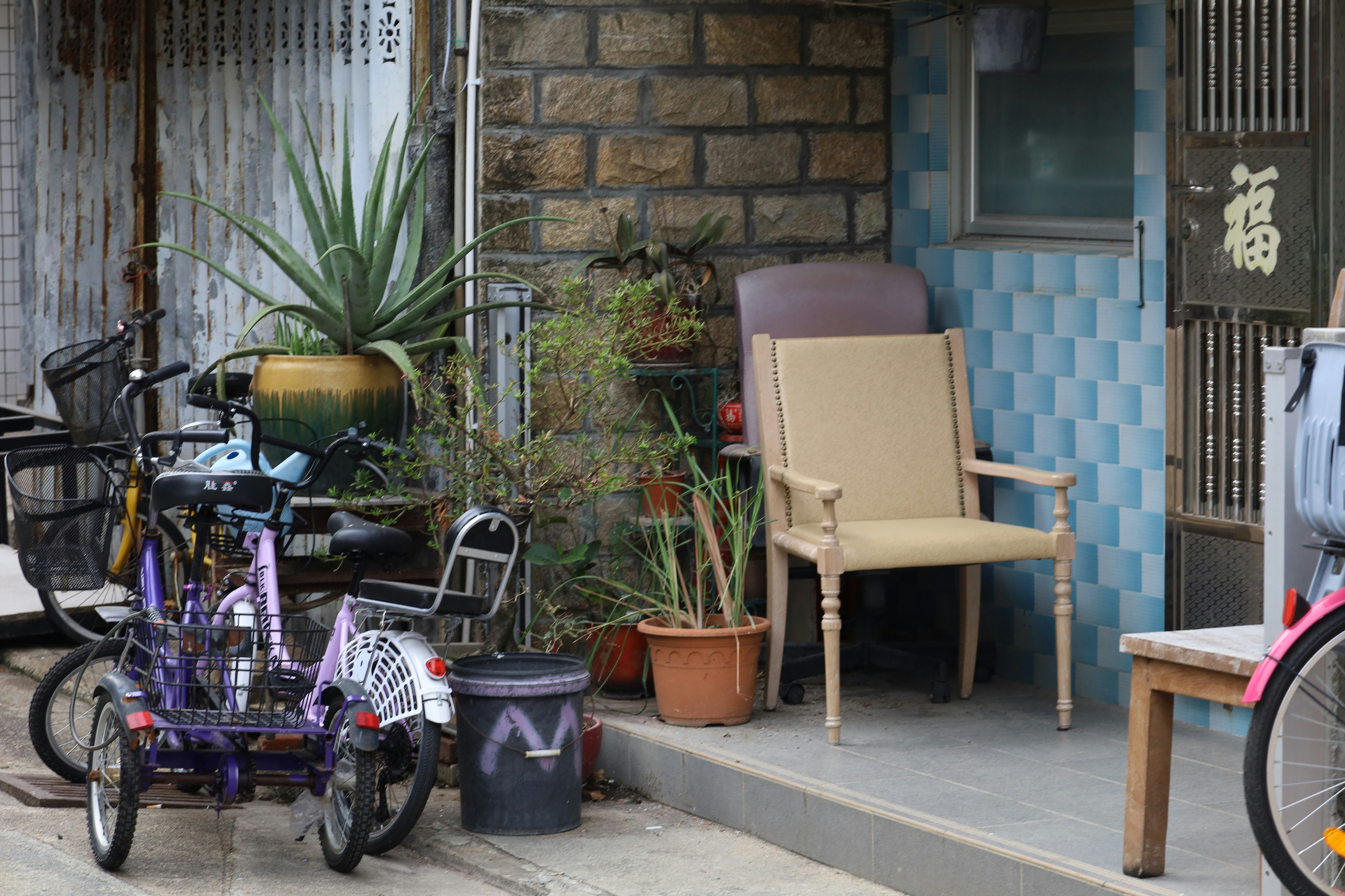 Beige Armchair Anchors a Quiet Urban Porch Among Potted Life