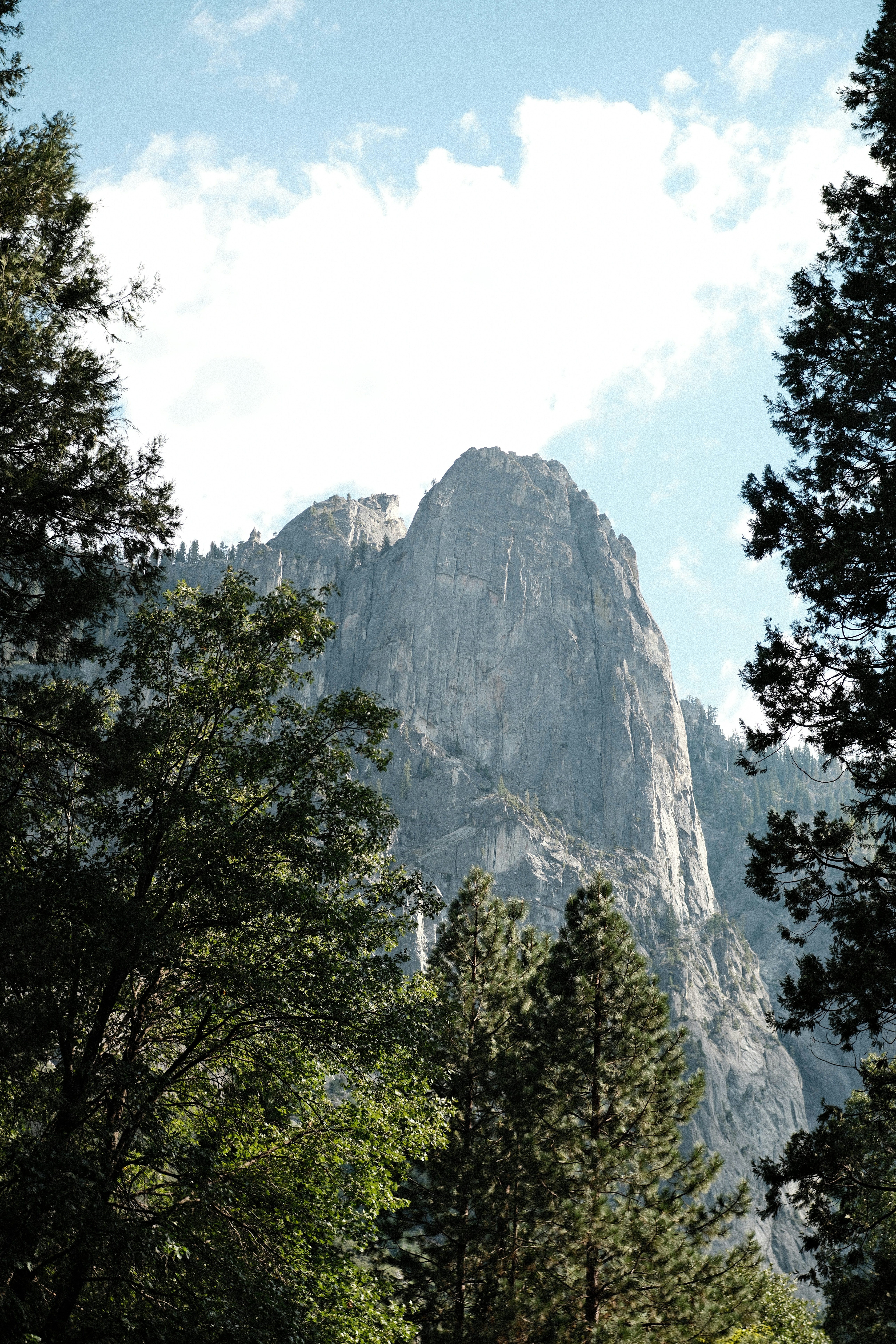 A tall mountain towering over a forest filled with trees photo – Free ...