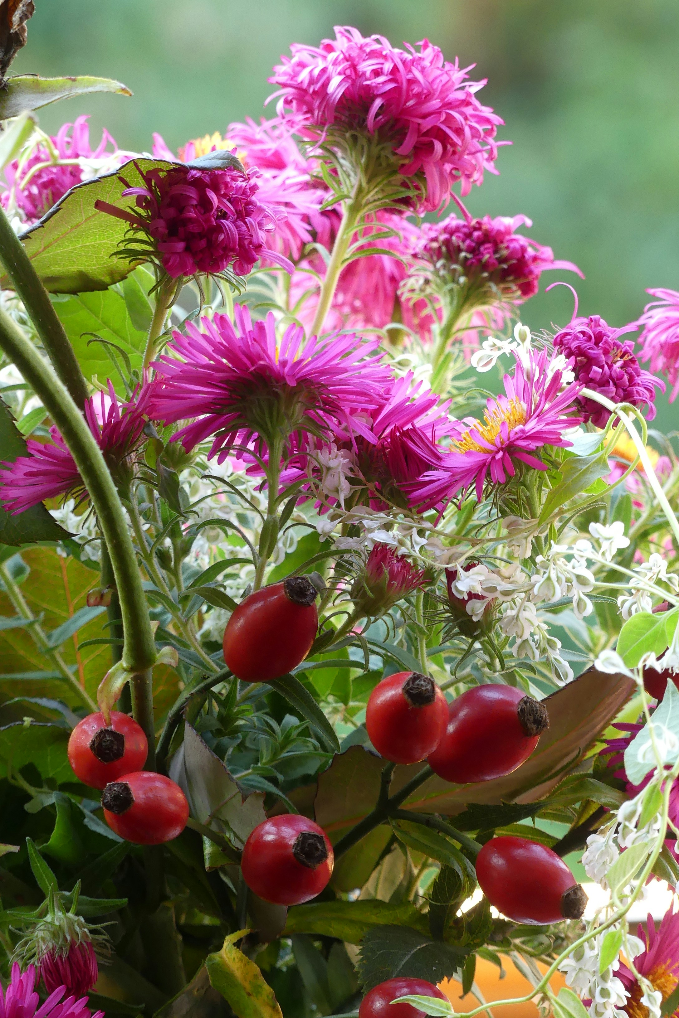 Magenta Pompon Blossoms Embrace Crimson Berry Accents