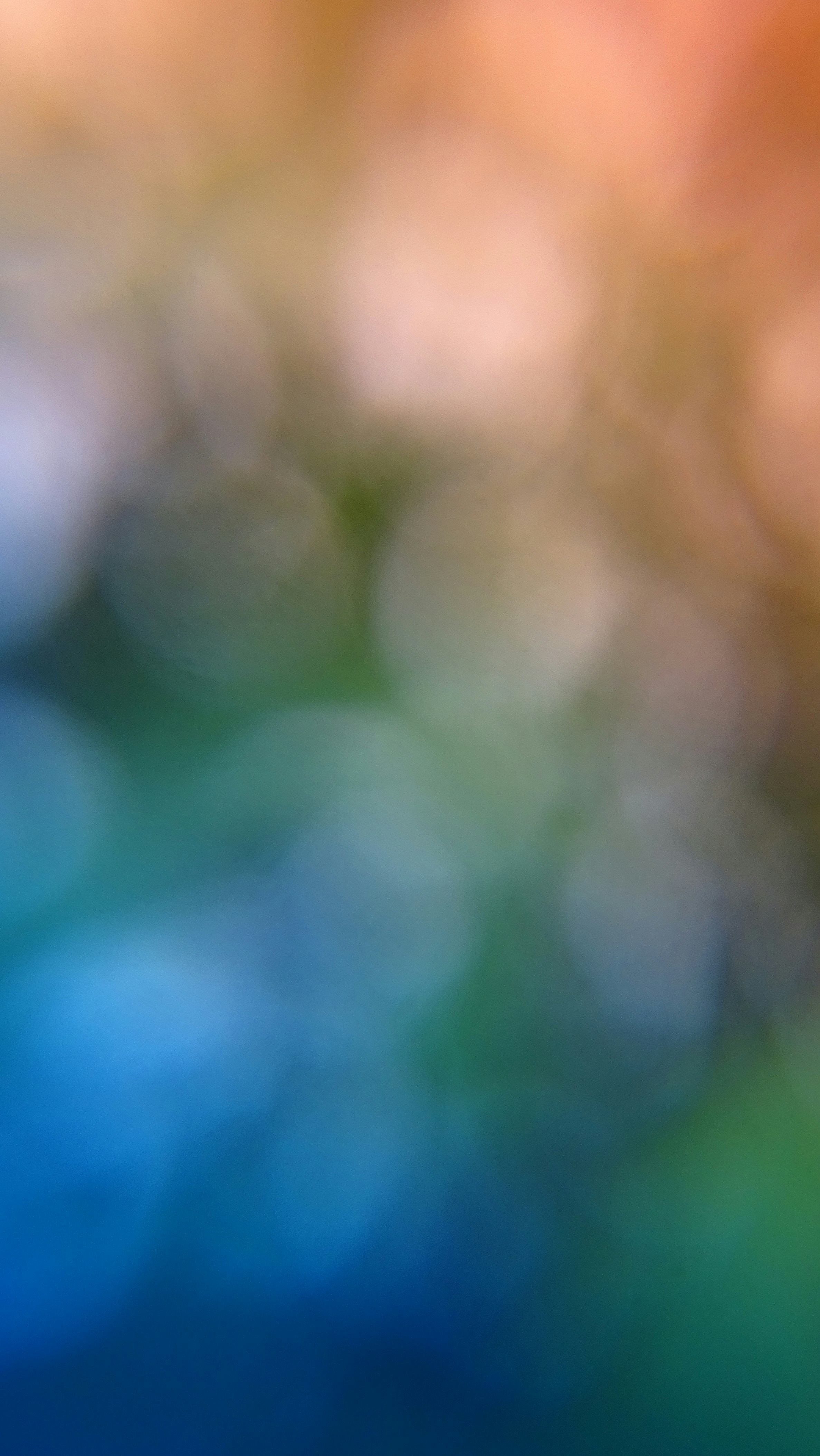 Sample photo from Sony Cyber-shot HX350