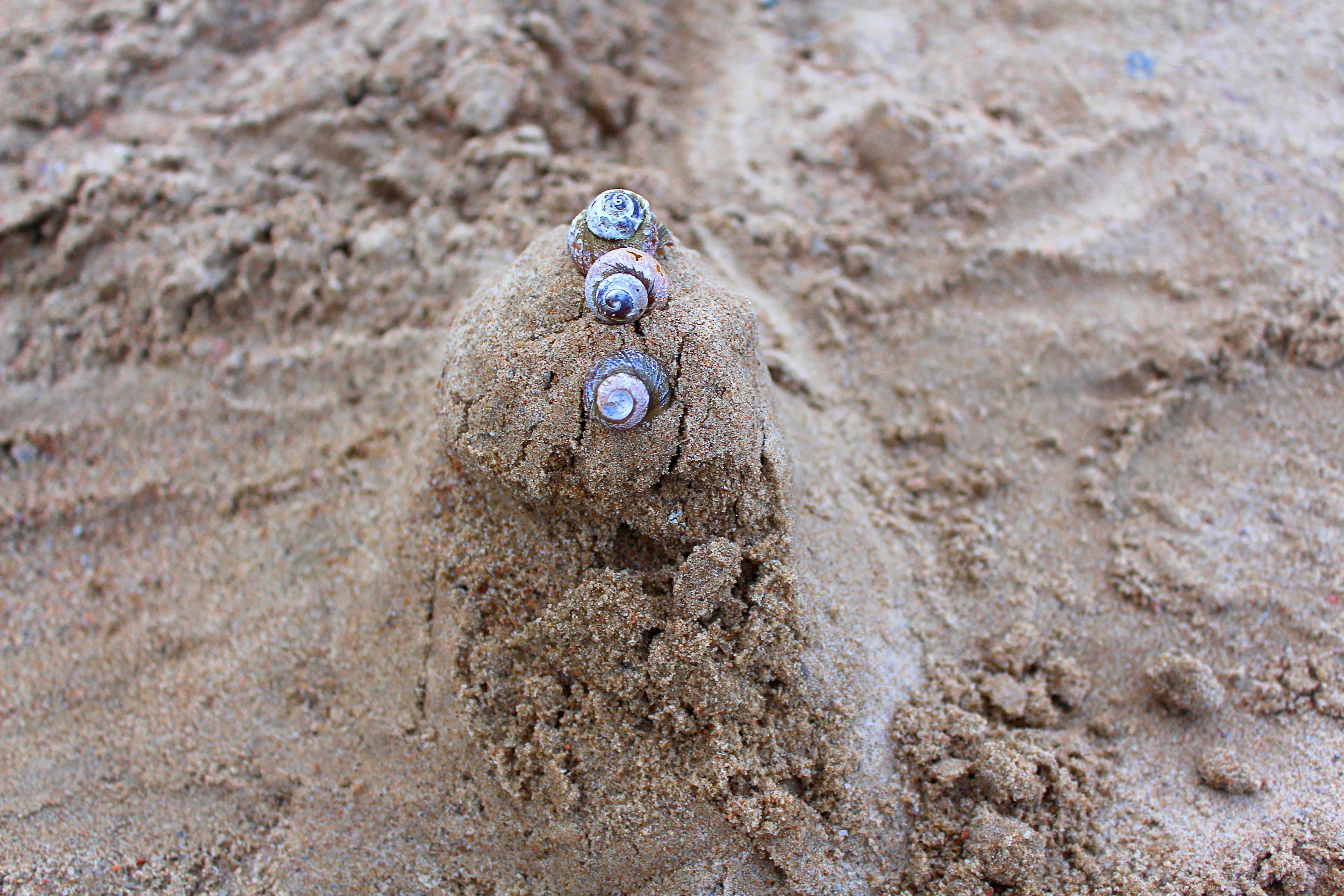 Four-Screw Beacon: A Minute Sand Monument Crowned by Metal