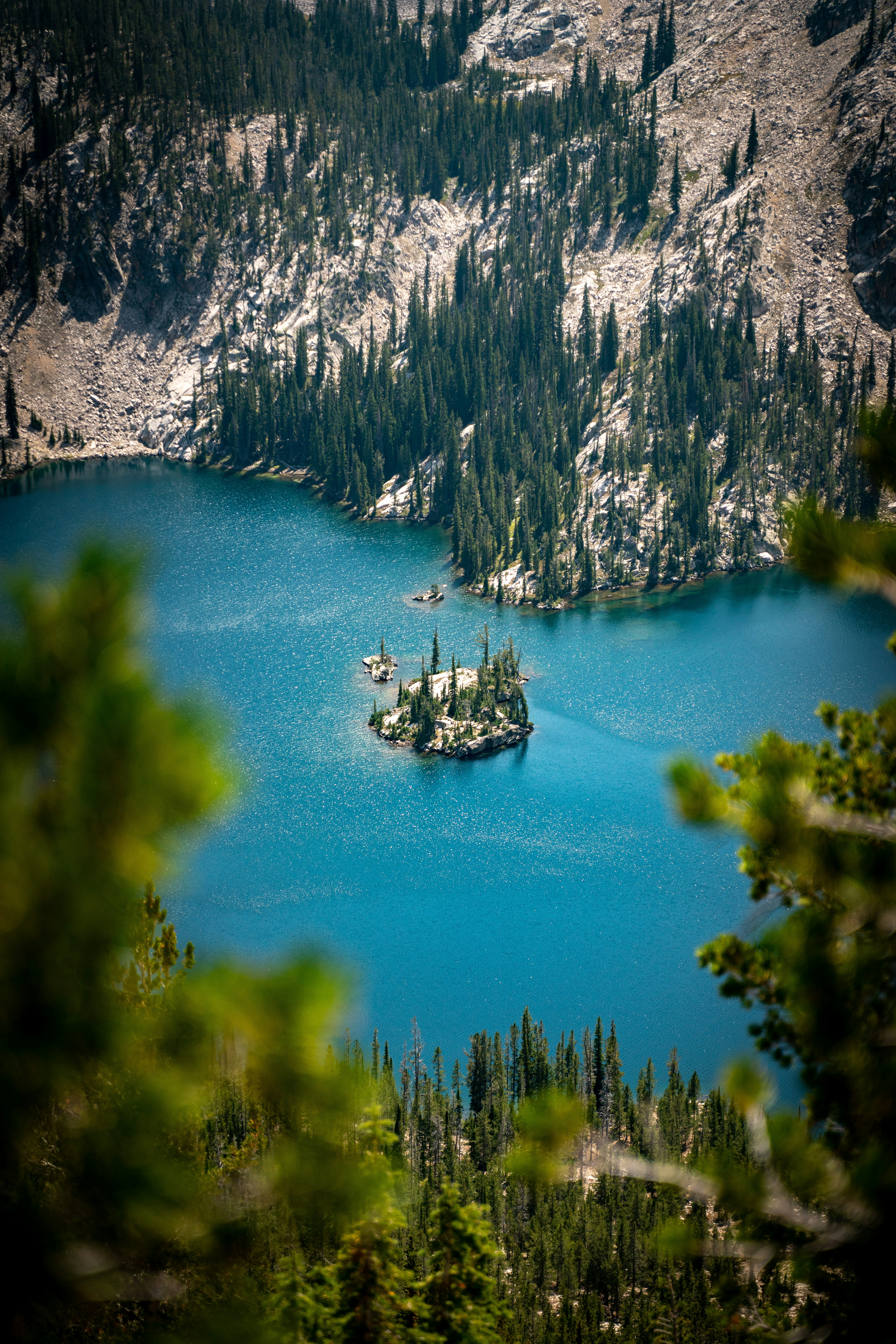 Conifer Island Adrift in a Turquoise Alpine Lake
