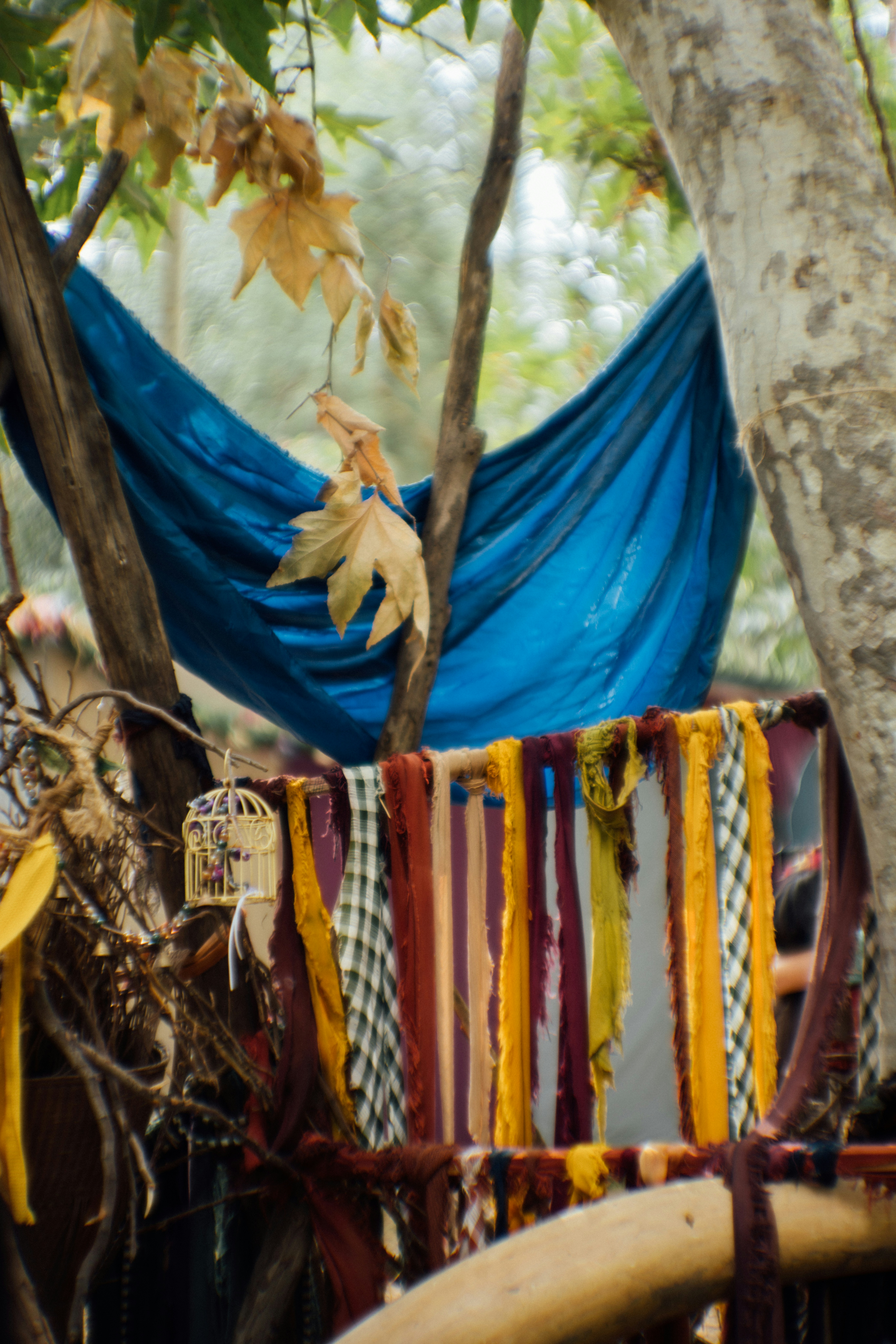 Vibrant fabric strips and a blue hammock entwined with tree branches in a wooded area.