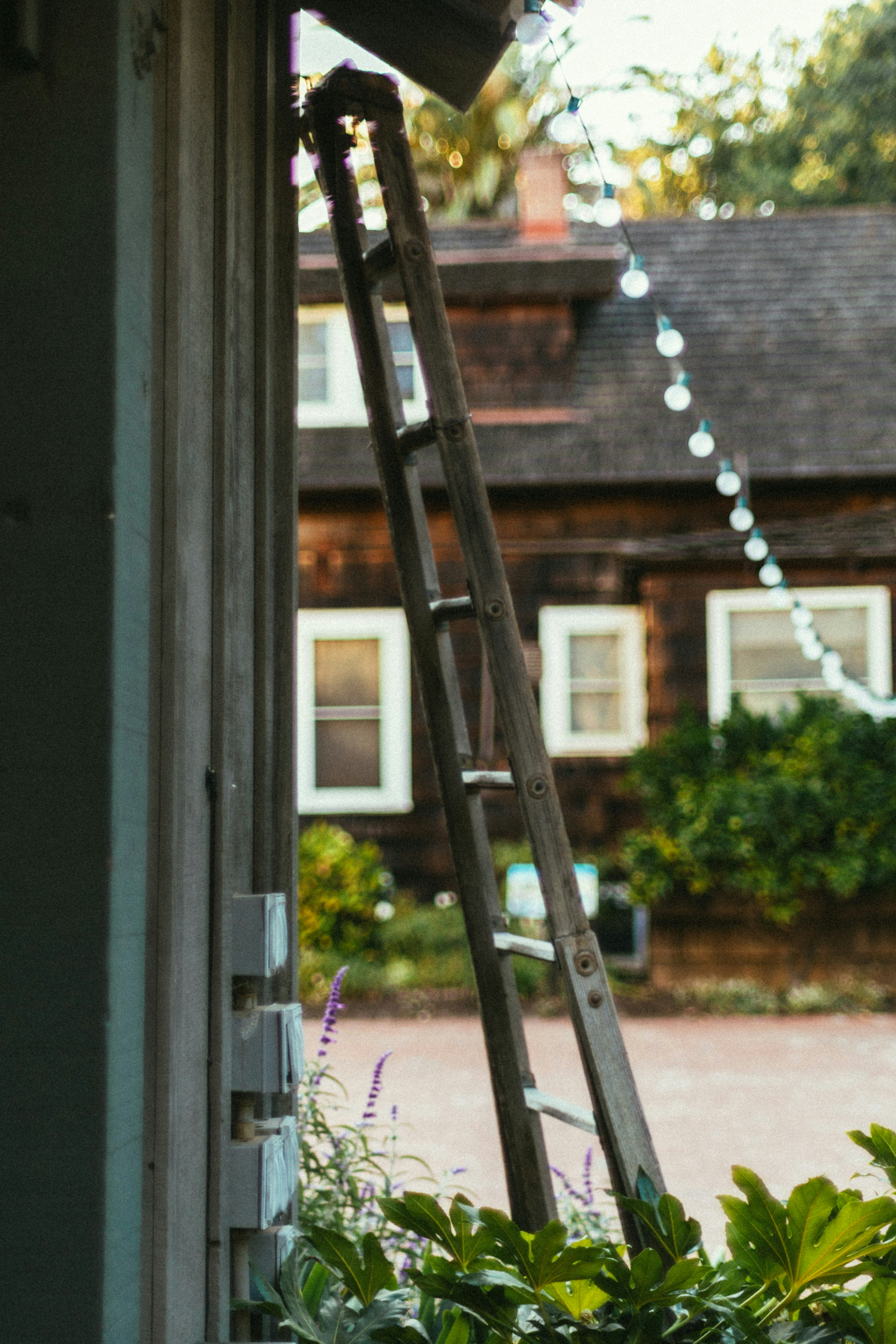 The Gentle Lean: Ladder by a Cottage Under Evening Lights