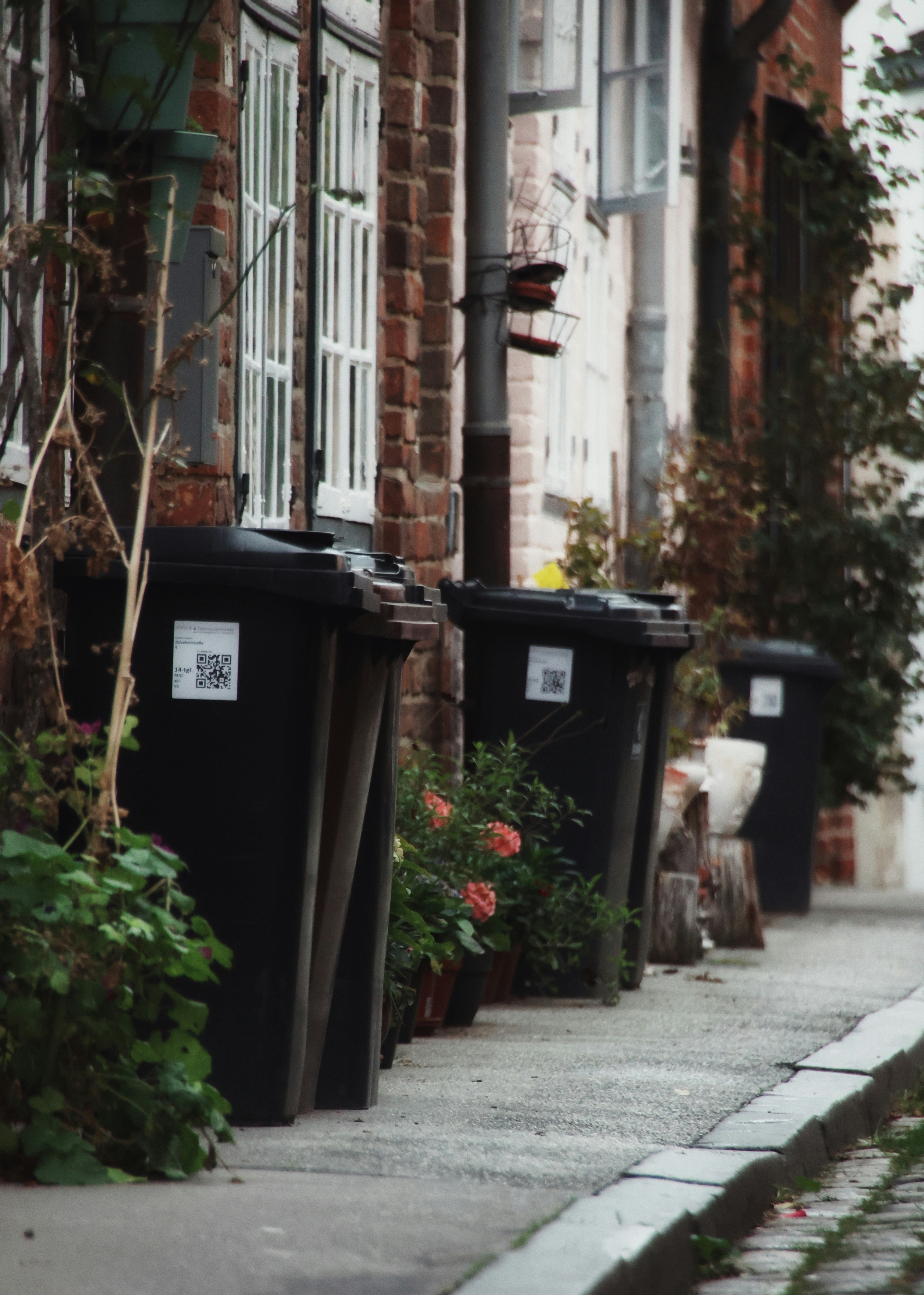 A row of black trash cans sitting on the side of a road photo – Free ...