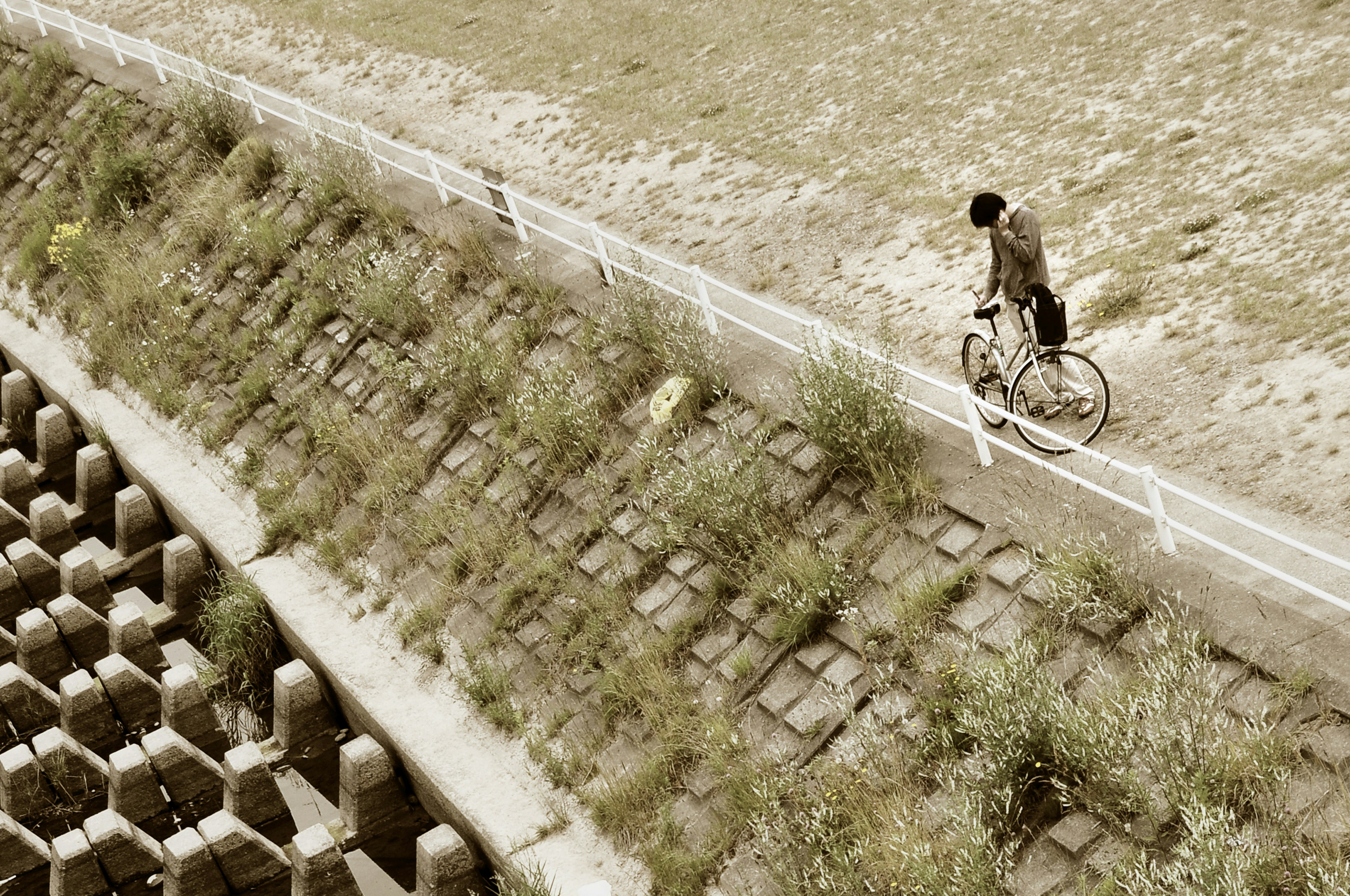 Ridge-line Ride: A Solitary Cyclist Tracing the White Rail Above a Terraced Embankment