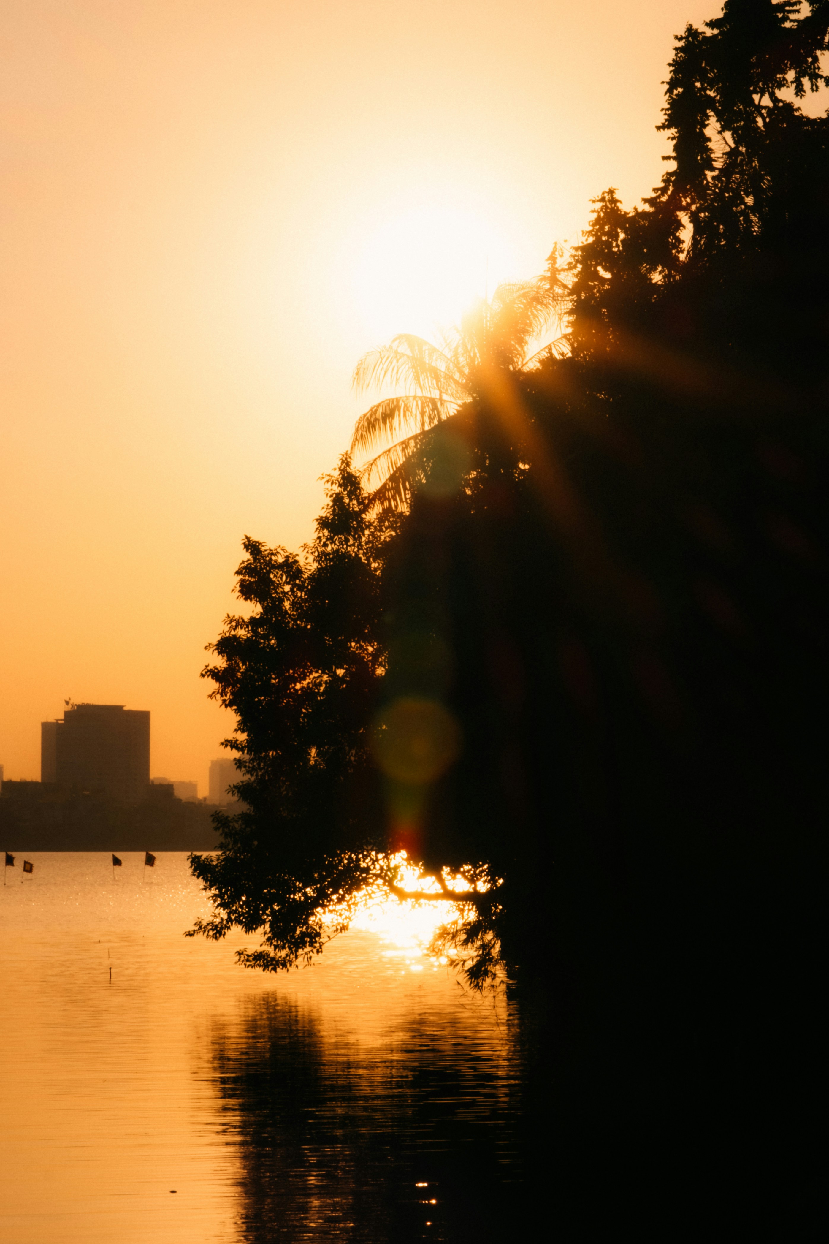 Photo by Nguyen Phan Nam Anh with Fujifilm X-T1