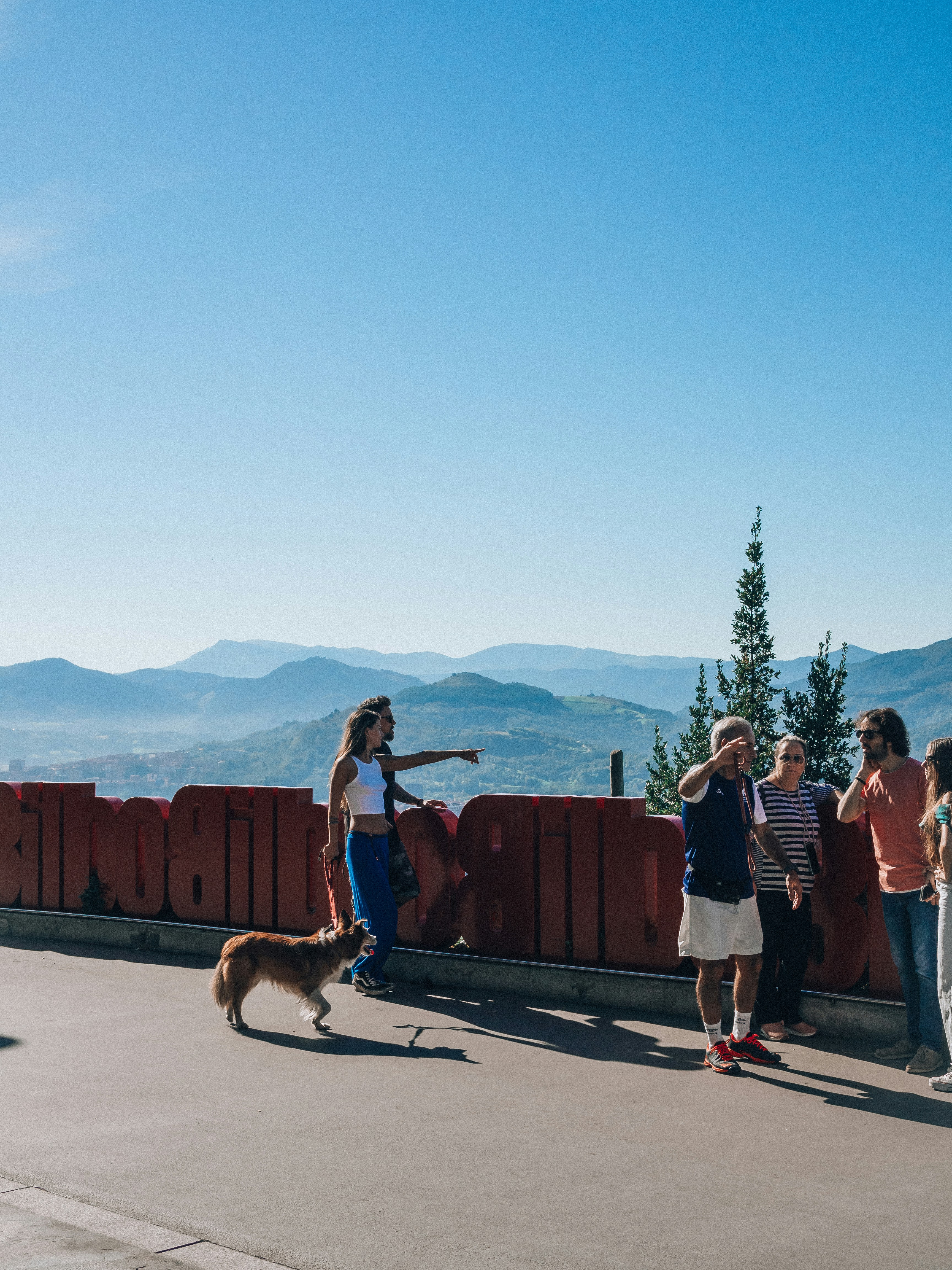 Group of friends enjoying a sunny day at a viewpoint, with a dog and vibrant mountain scenery in the background.