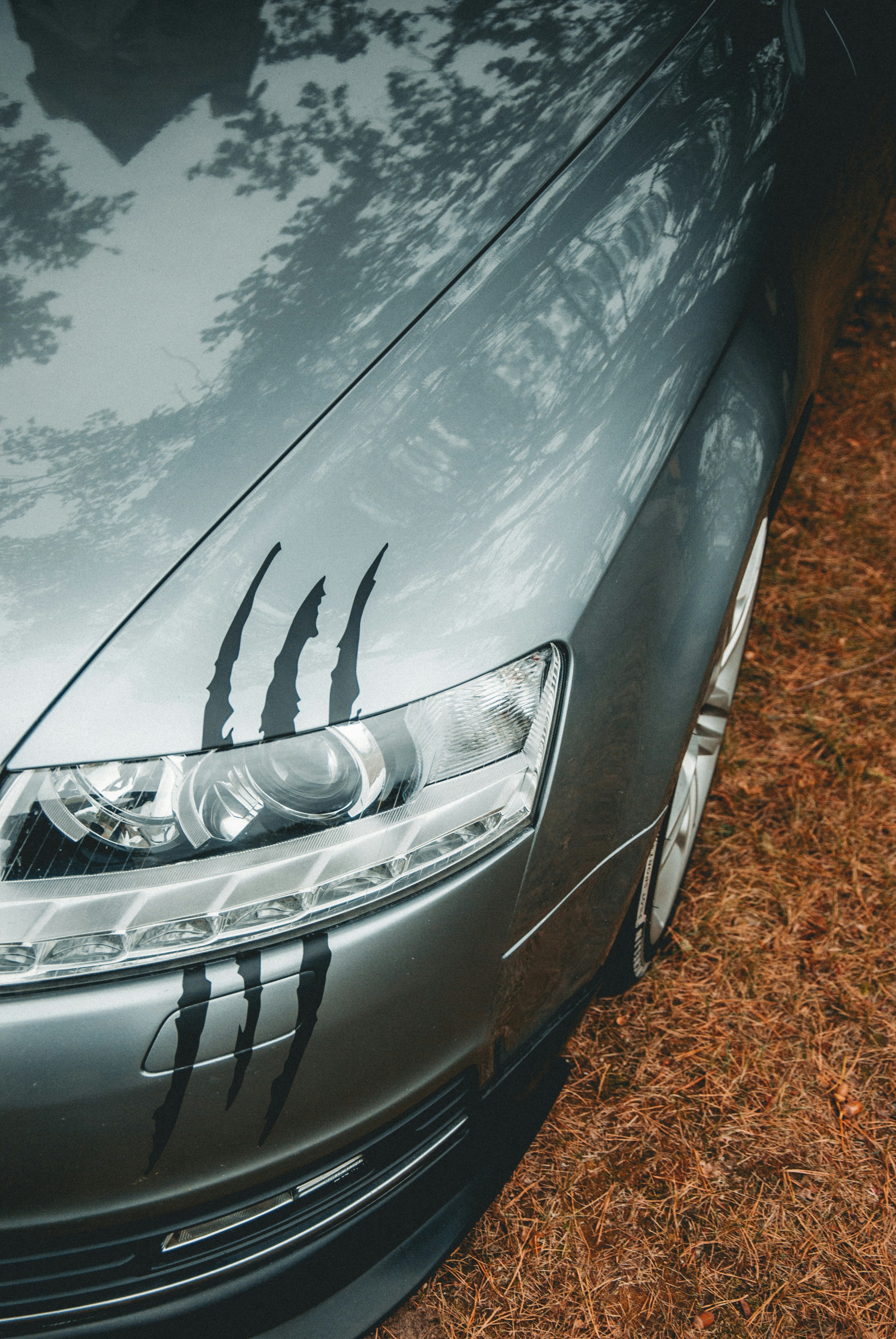 Claw Marks on a Teal Hood: Reflections in Metal