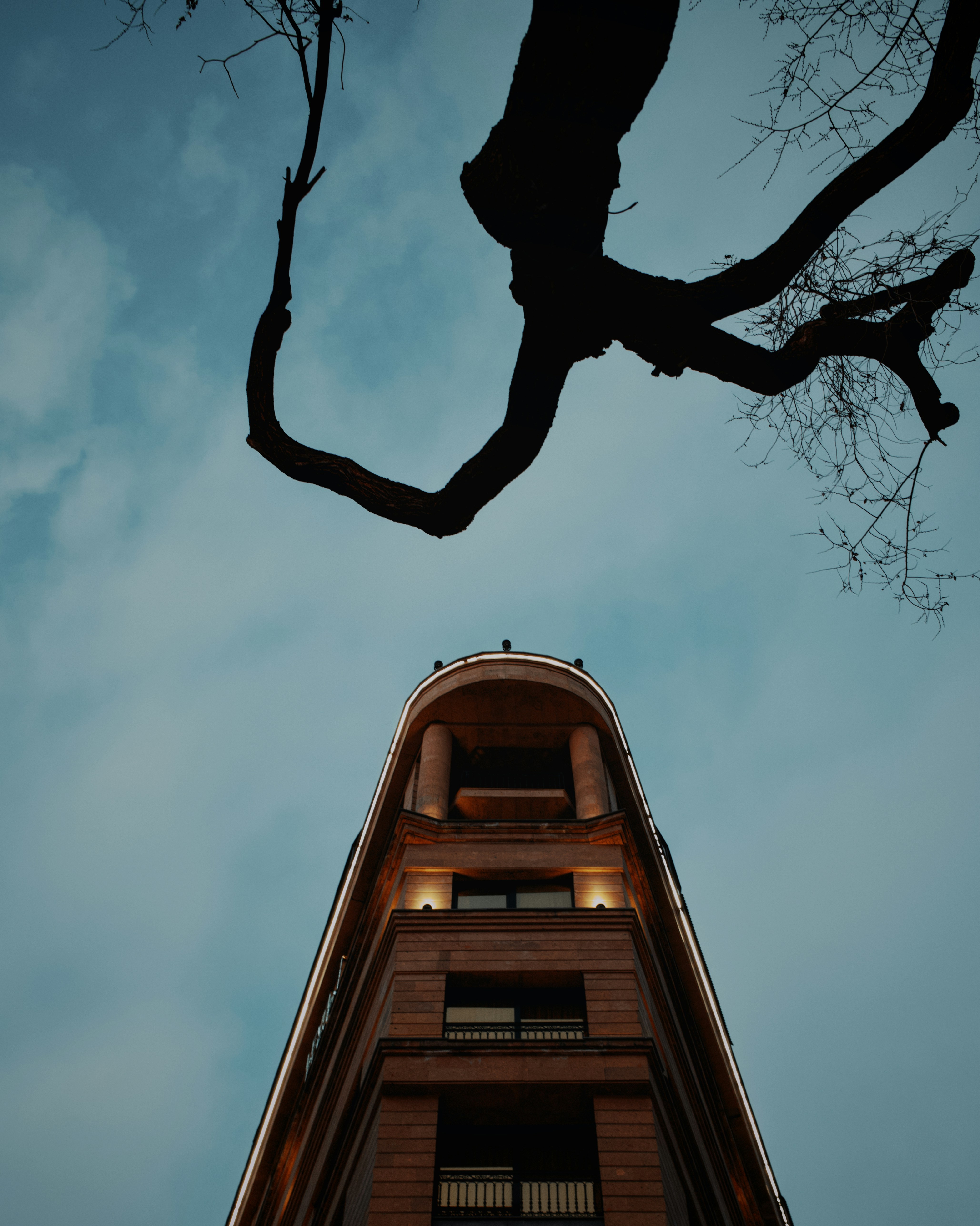 Skyward Brick Tower Framed by a Gnarled Branch