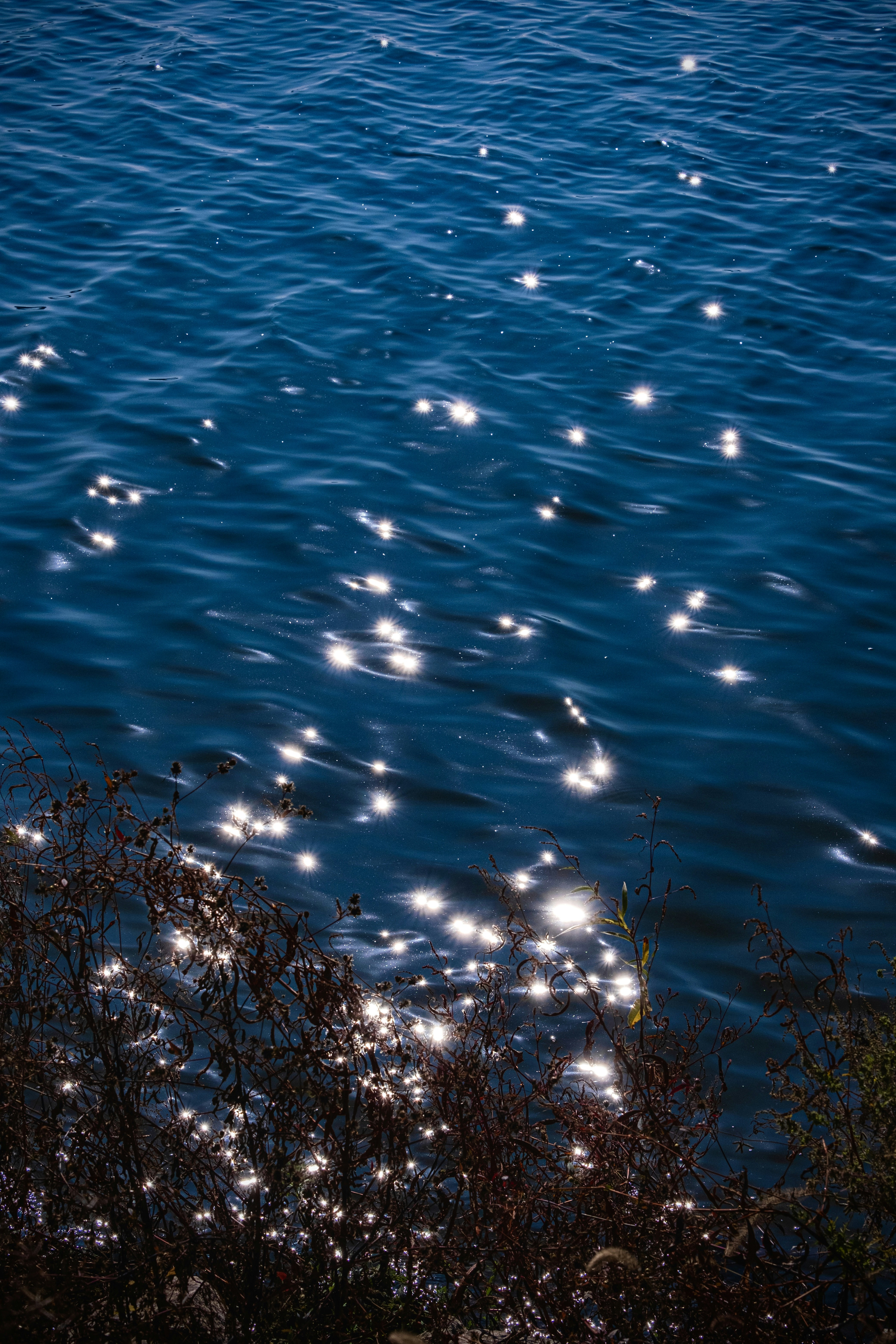 Sunlit Diamonds on Indigo Sea: Quiet Shoreline in Sparkling Light