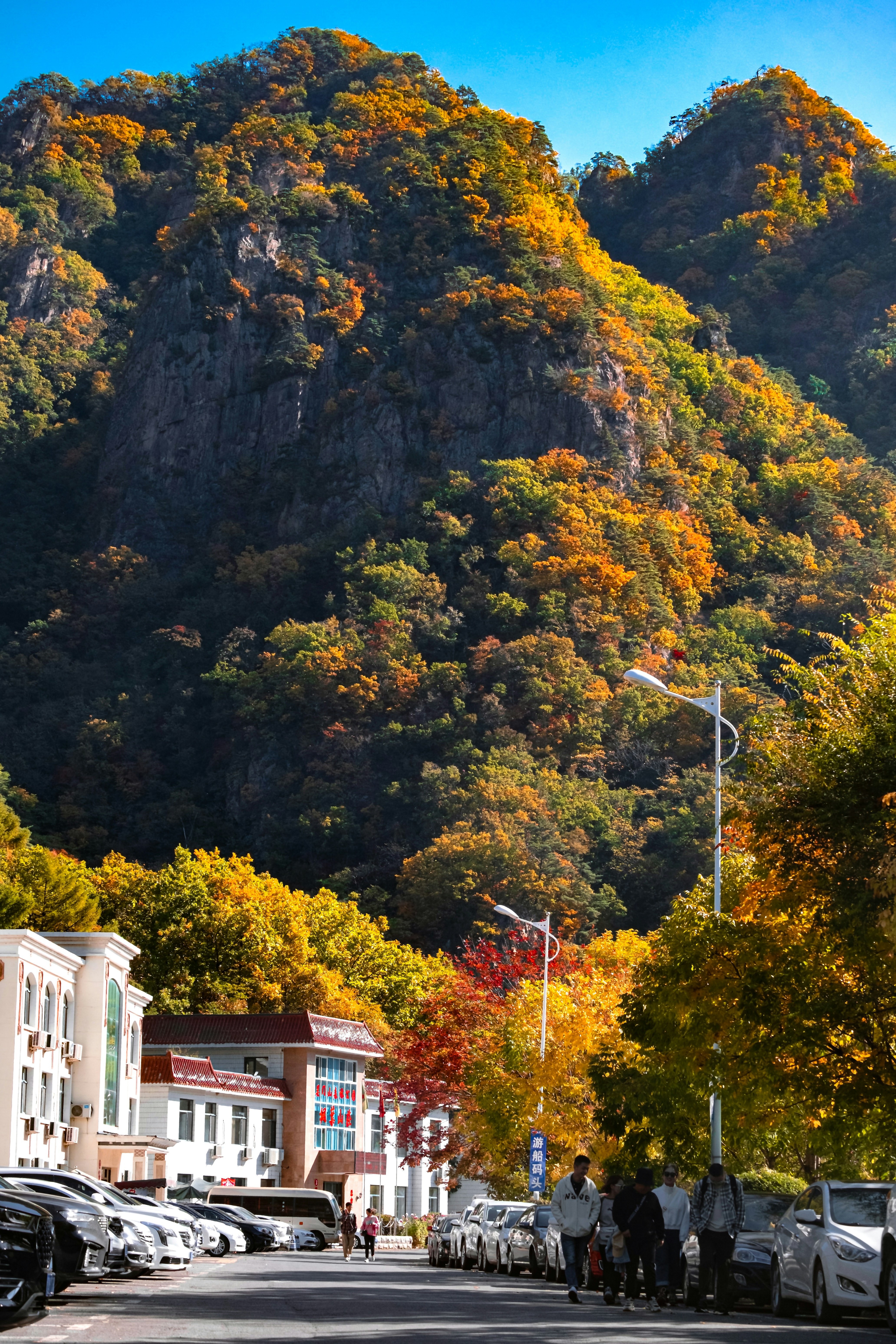 Autumn Ridge Over a Car-Lined Street