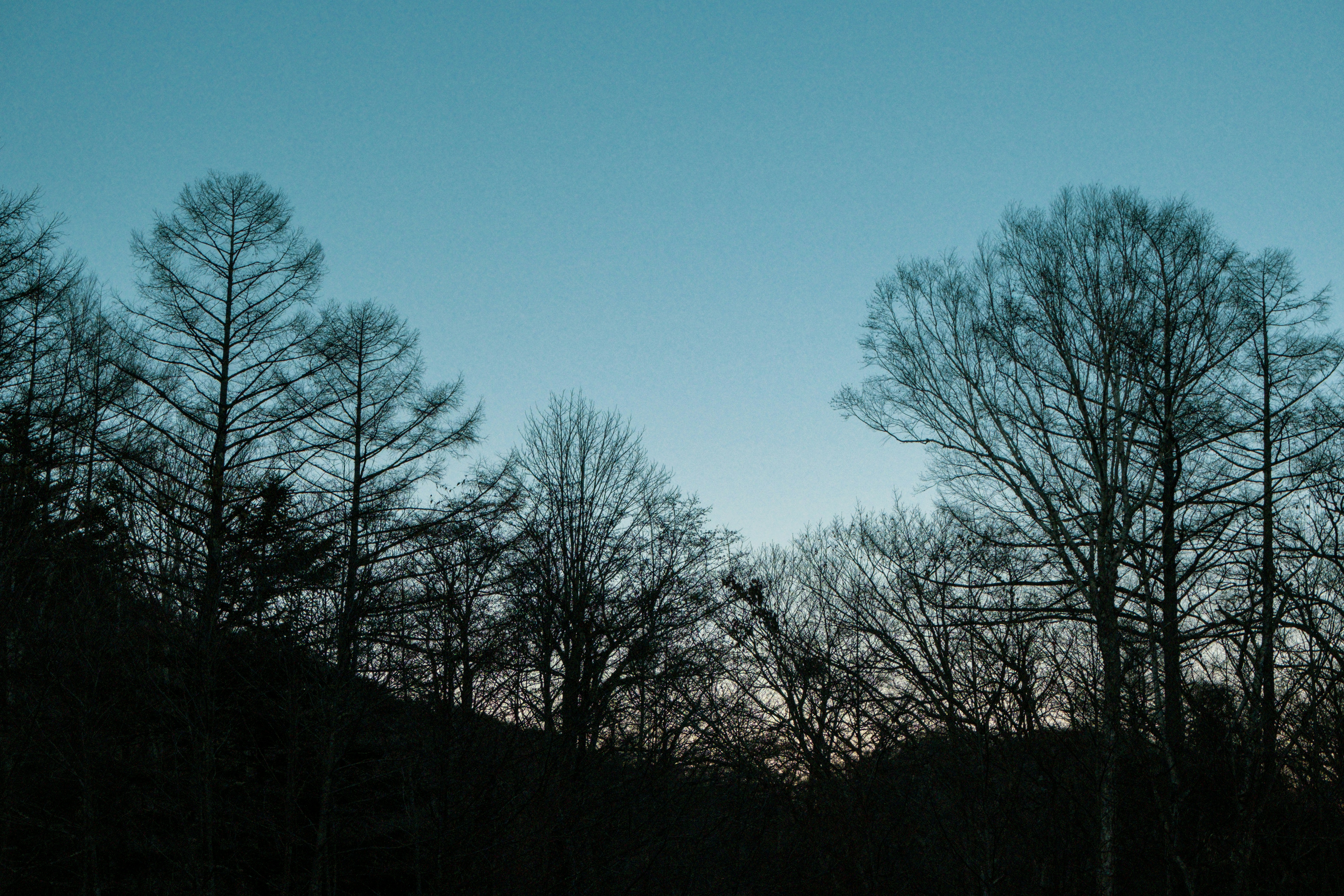 Daybreak Pictures | Download Free Images on Unsplash