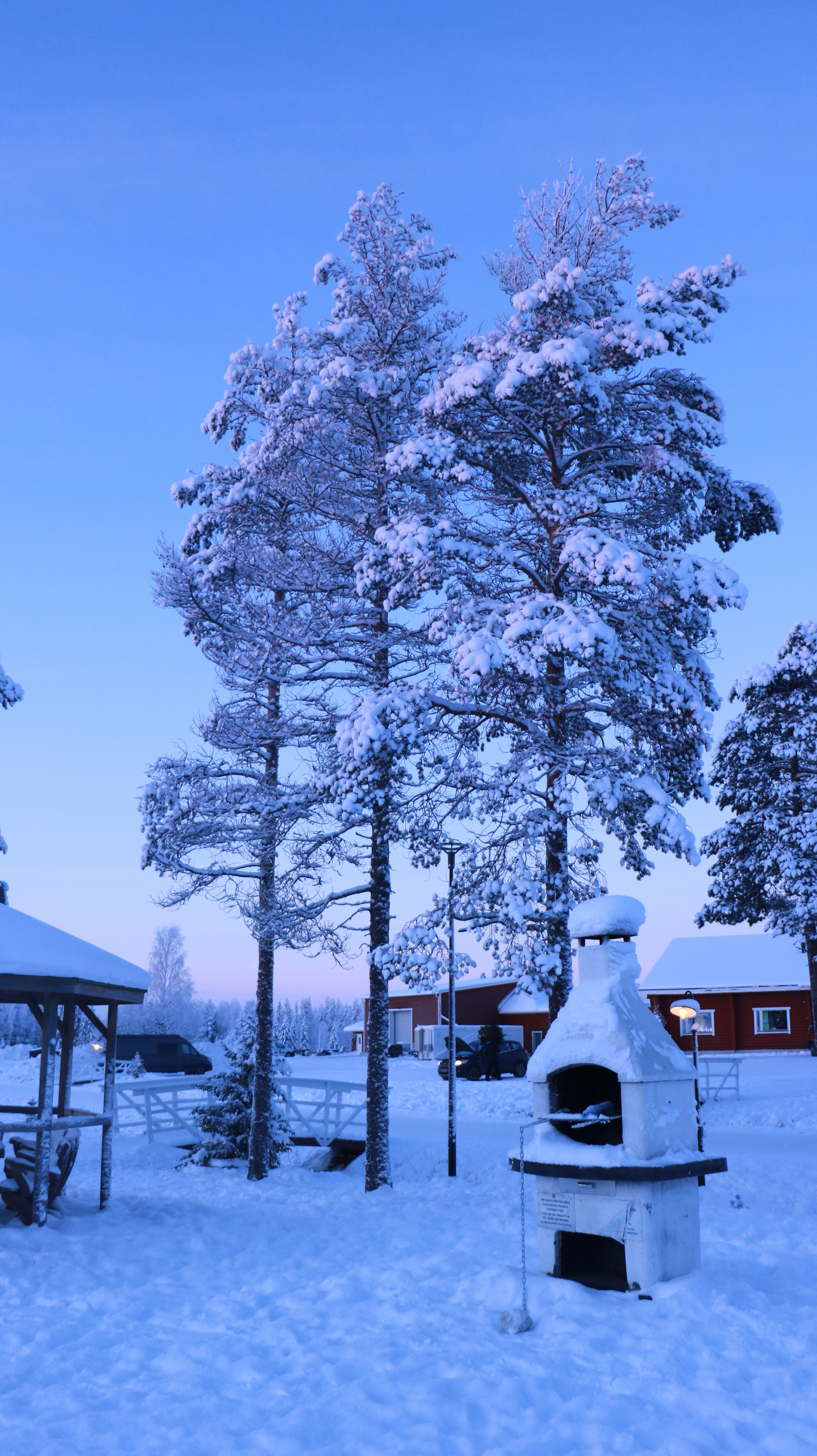 Blue Hour Snowscape: Pines, Fence, and a Stone Outdoor Grill