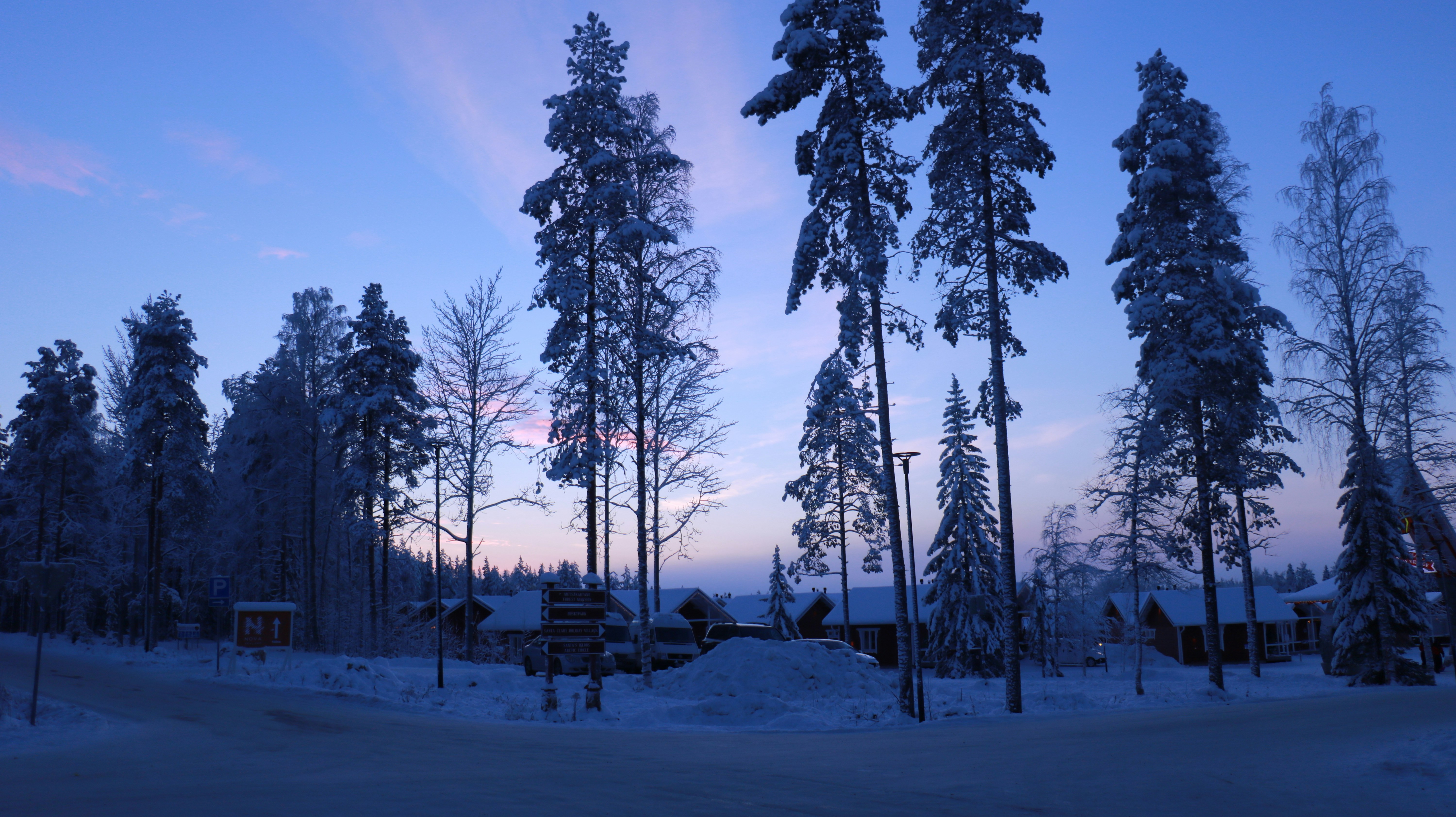 Photo by Qingqing Cai with Canon EOS 750D