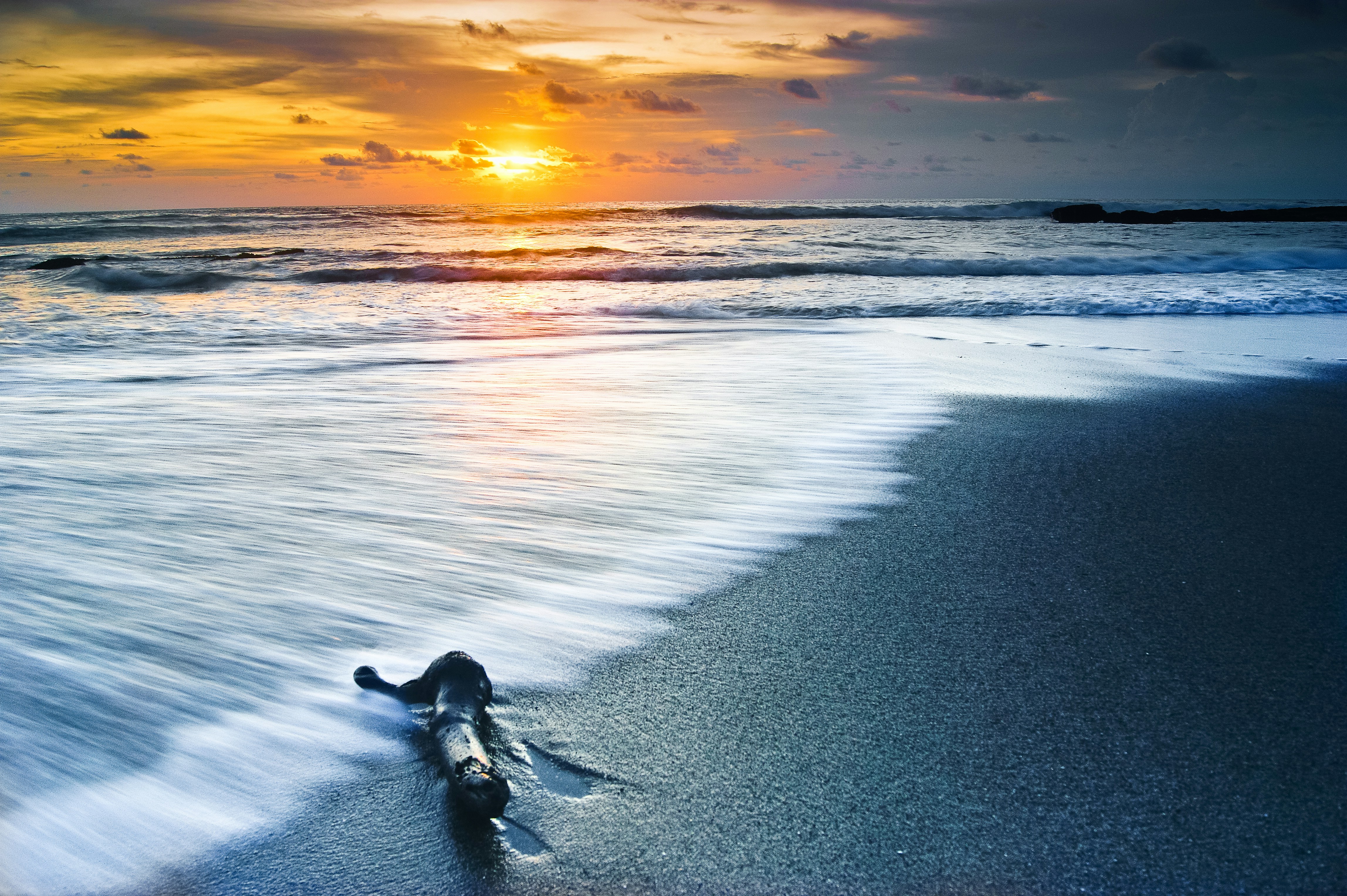 Driftwood at Sunrise: A Quiet Edge of Textured Tide