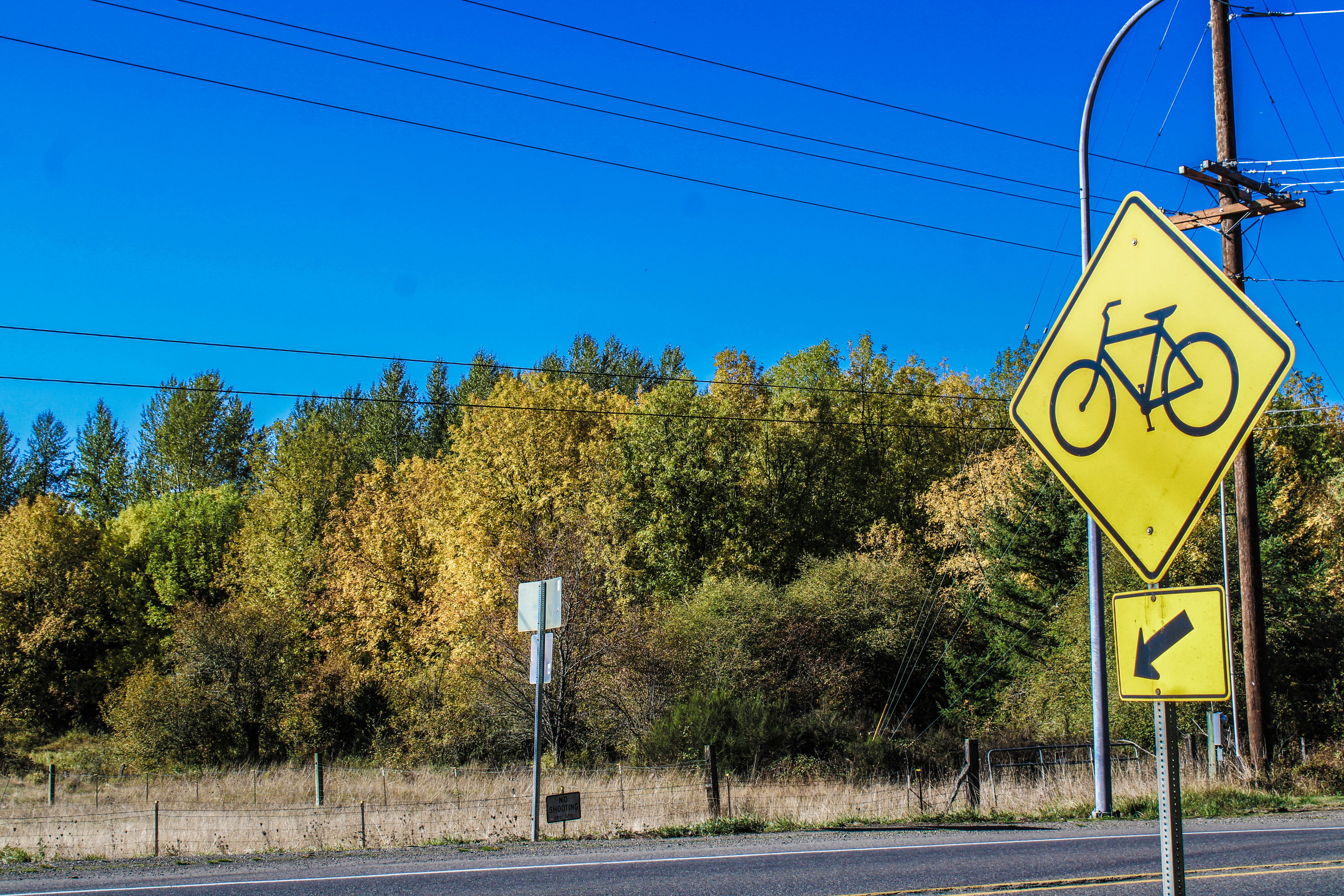 Bold Bicycle Sign Framing a Quiet Road Under an Unbroken Blue Sky