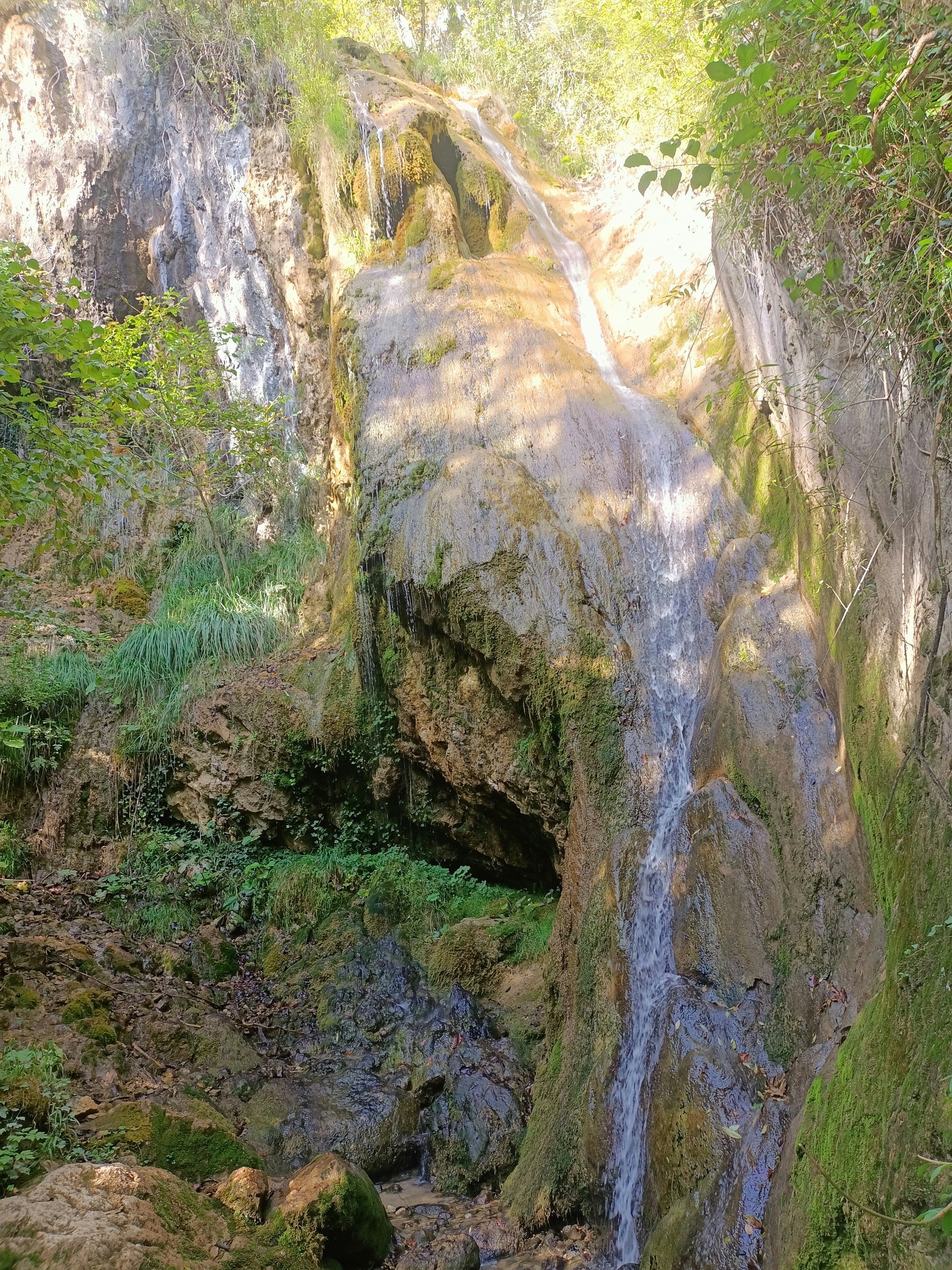 Sample photo from Oppo Reno5 Lite