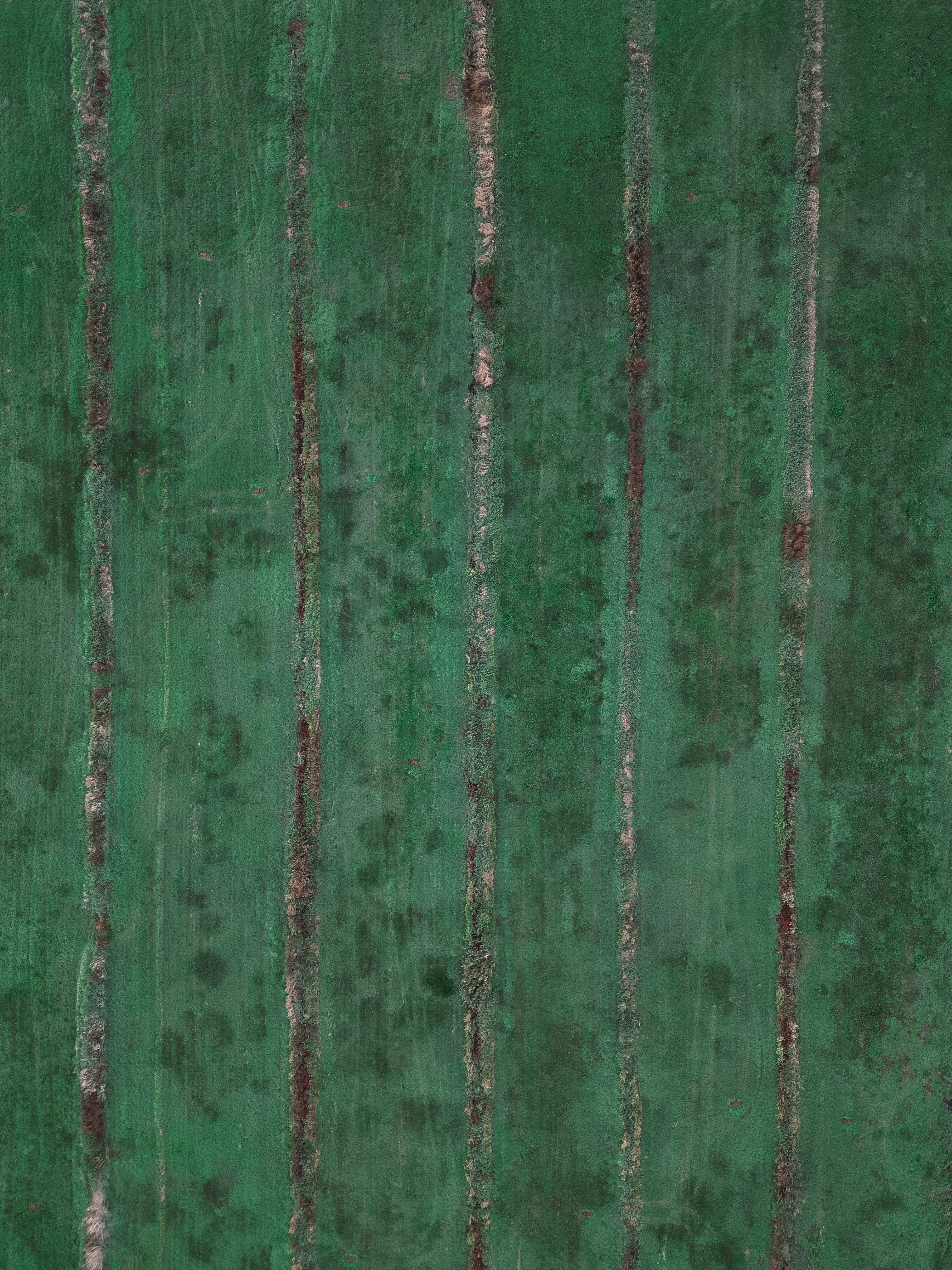 Weathered Green Corrugation: A Symmetrical Stride of Vertical Lines