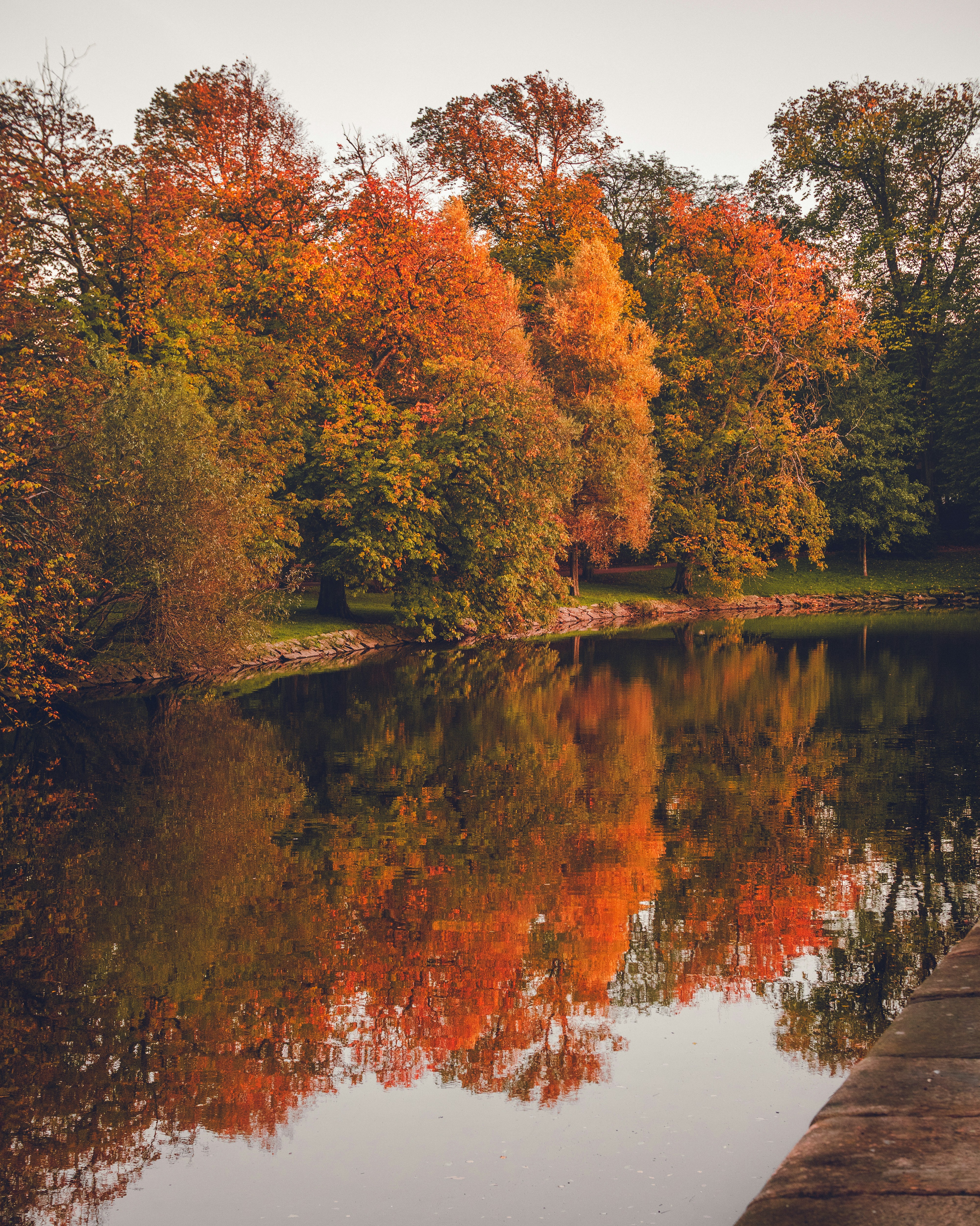 a body of water surrounded by lots of trees