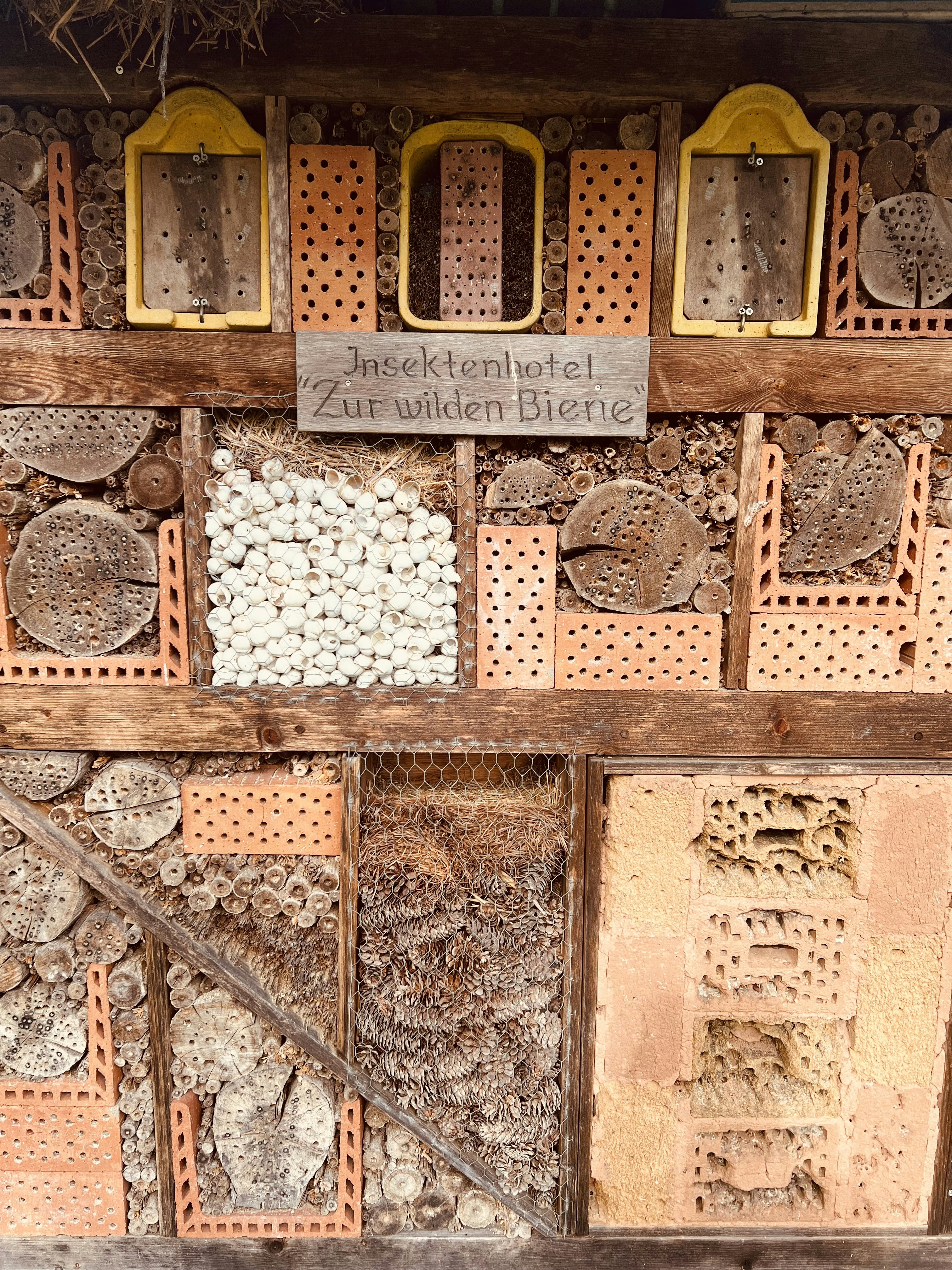Insectenhotel Mosaic: Tiny Dwellings in Wood, Brick, and Tubes
