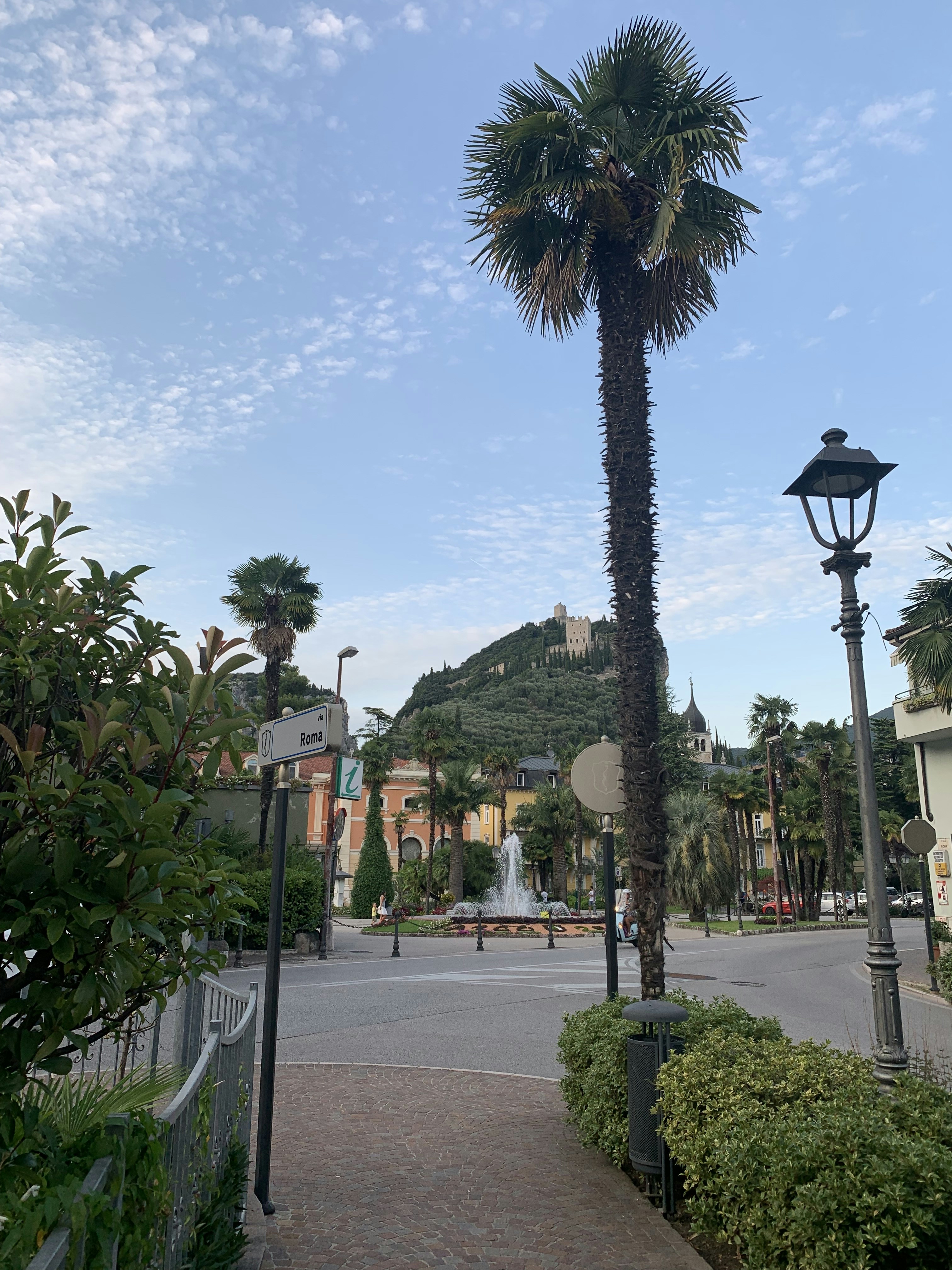 A palm tree on the side of a road photo – Free Riva del garda Image on ...