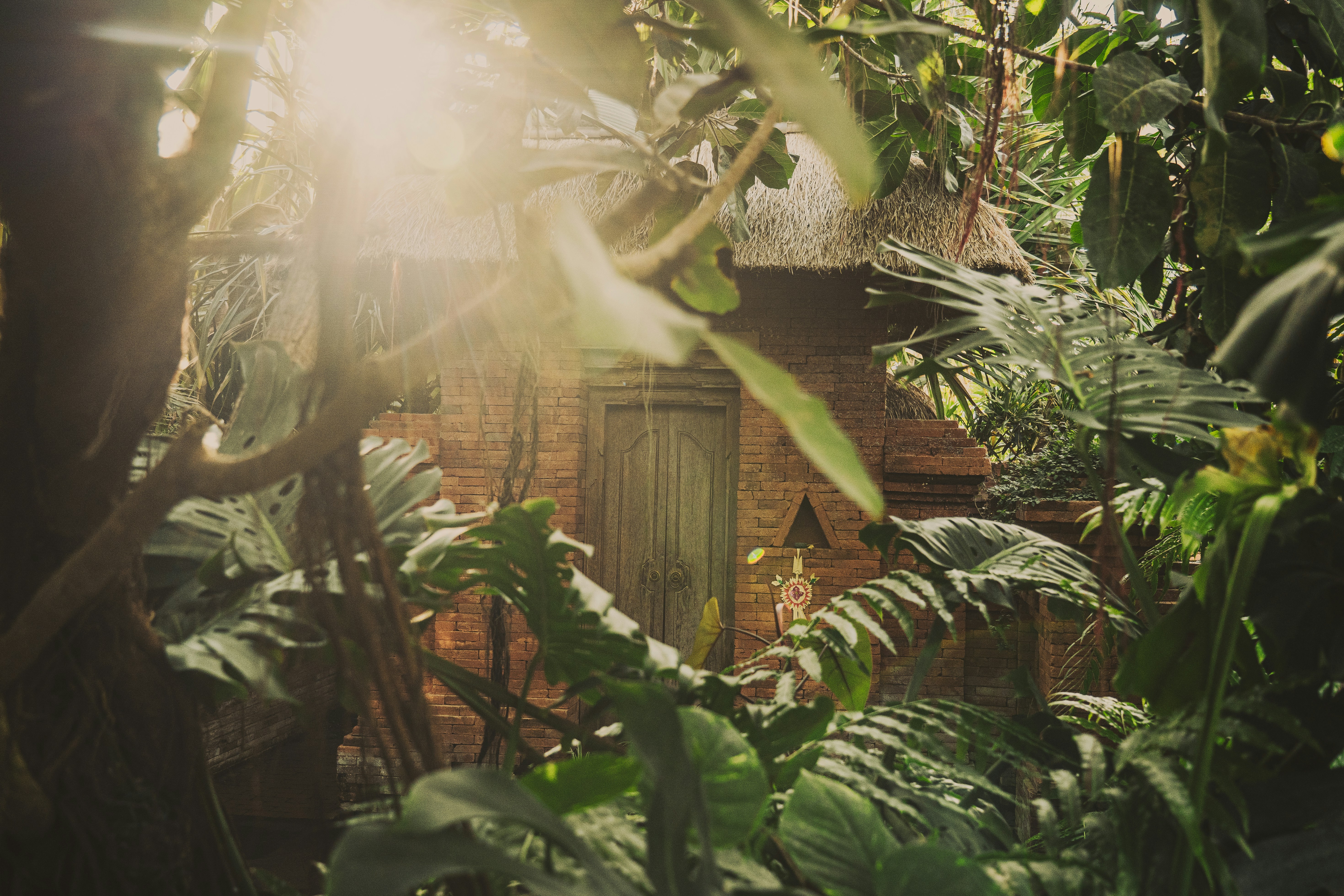 Photo by Duc Nguyen with Sony Alpha 7 III