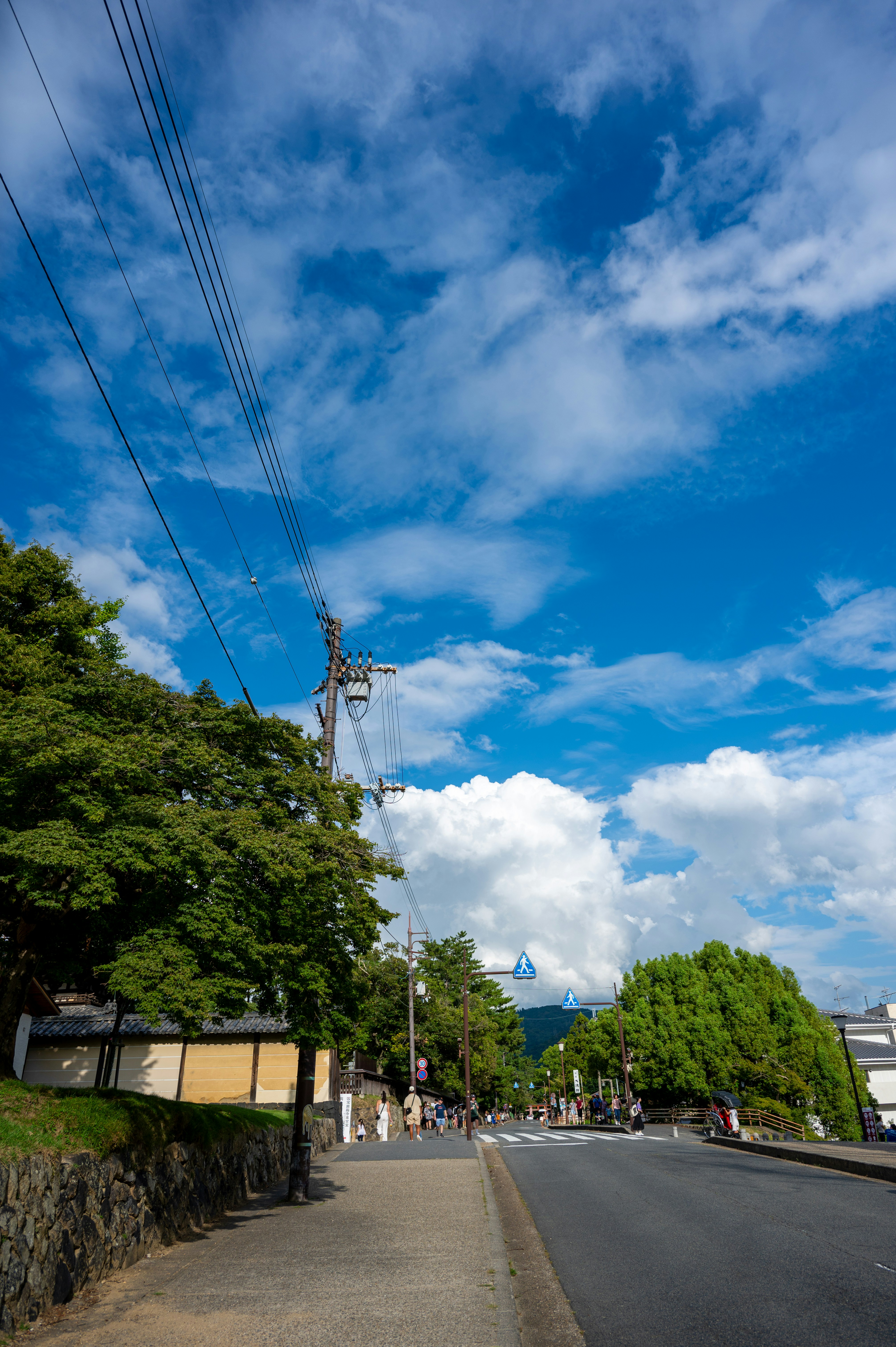 Photo by Da Da with Nikon Z6 II